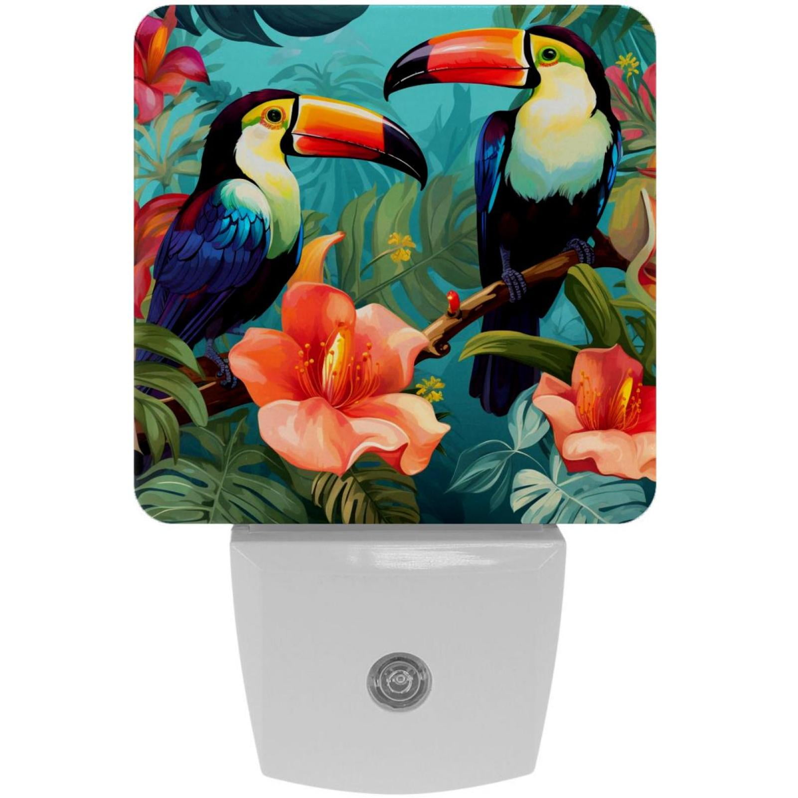 Toucan LED Square Night Lights - Elegant and Energy Efficient Lighting ...