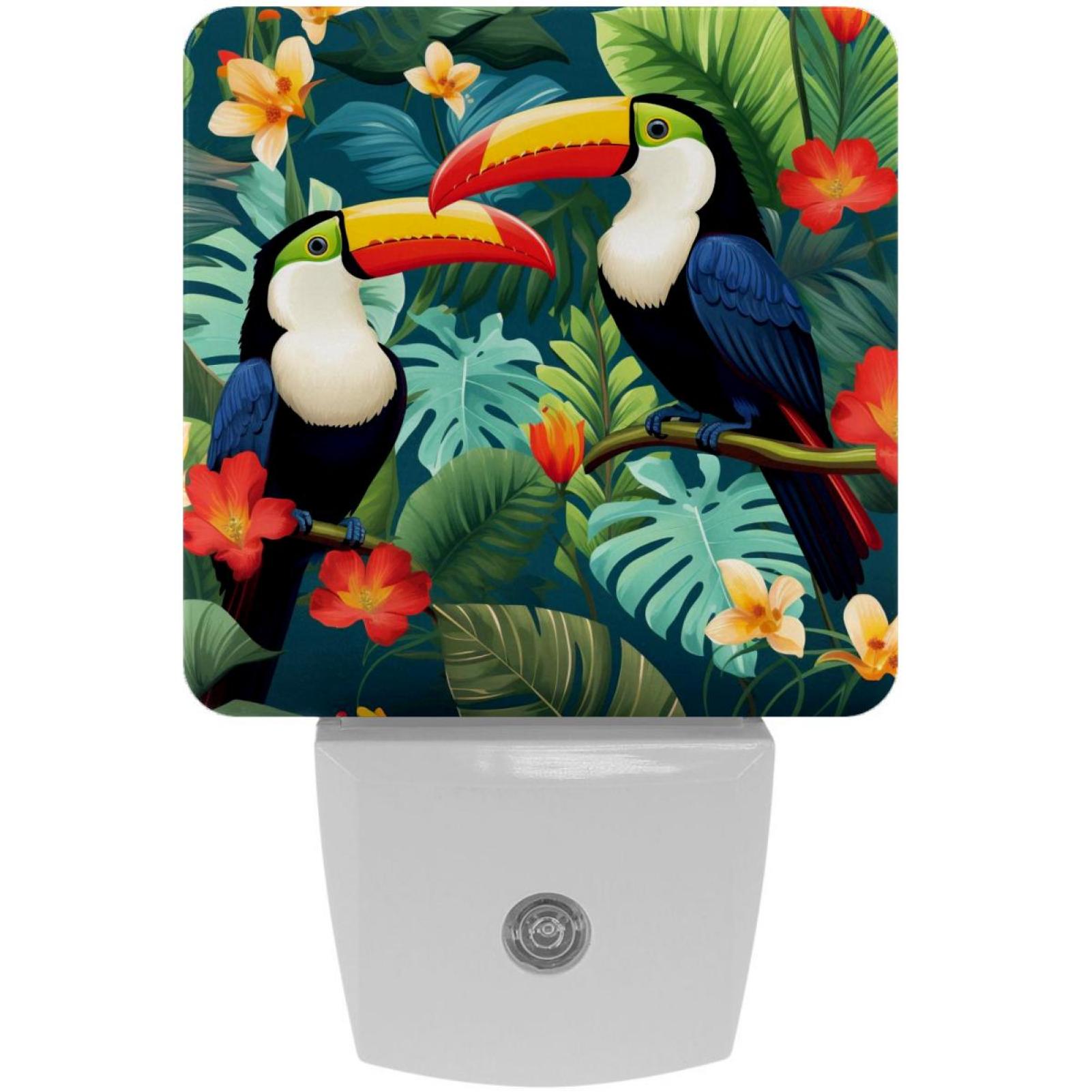 Toucan LED Square Night Lights - Elegant and Energy Efficient Lighting ...