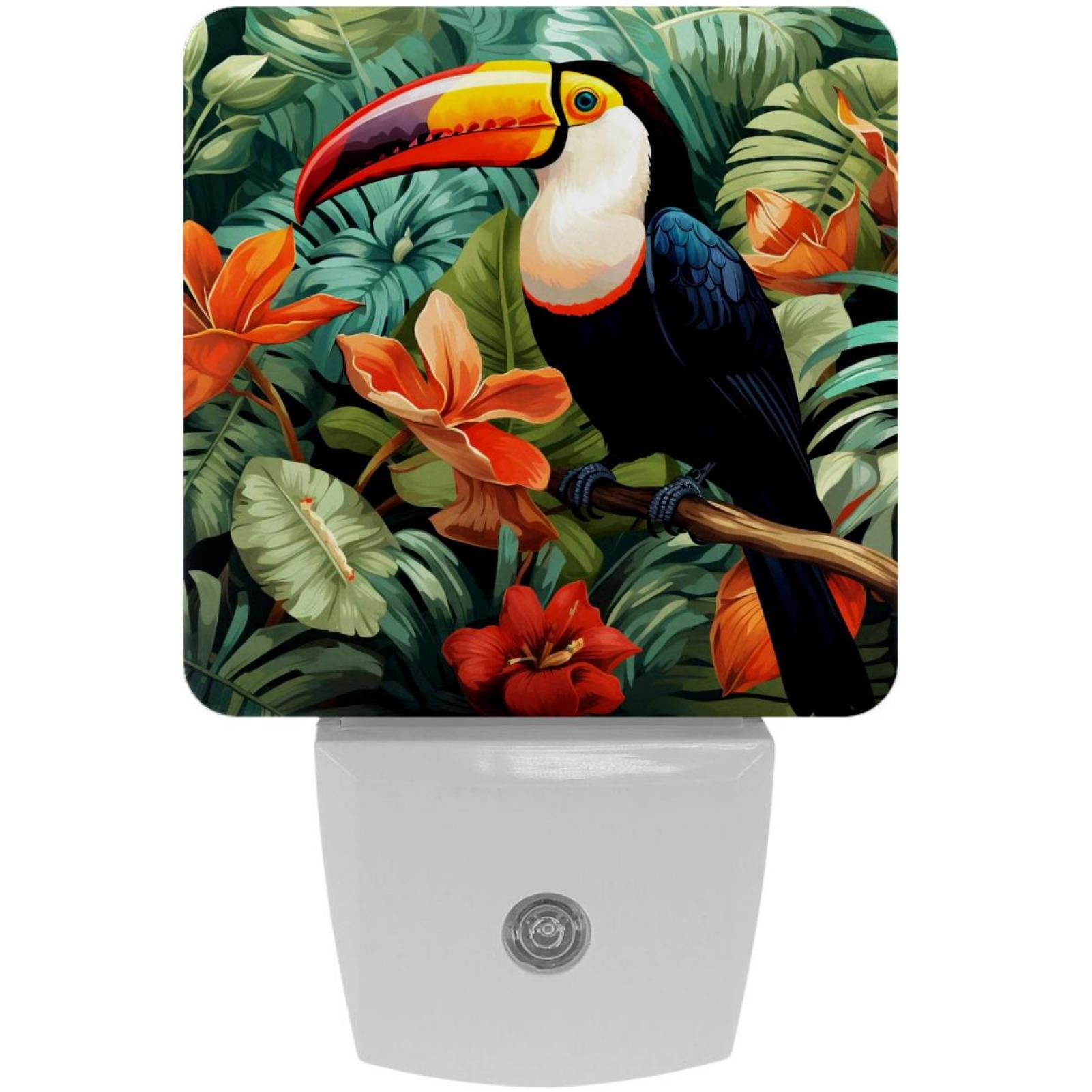 Toucan LED Square Night Lights - Energy Efficient Bedside Lamp with ...