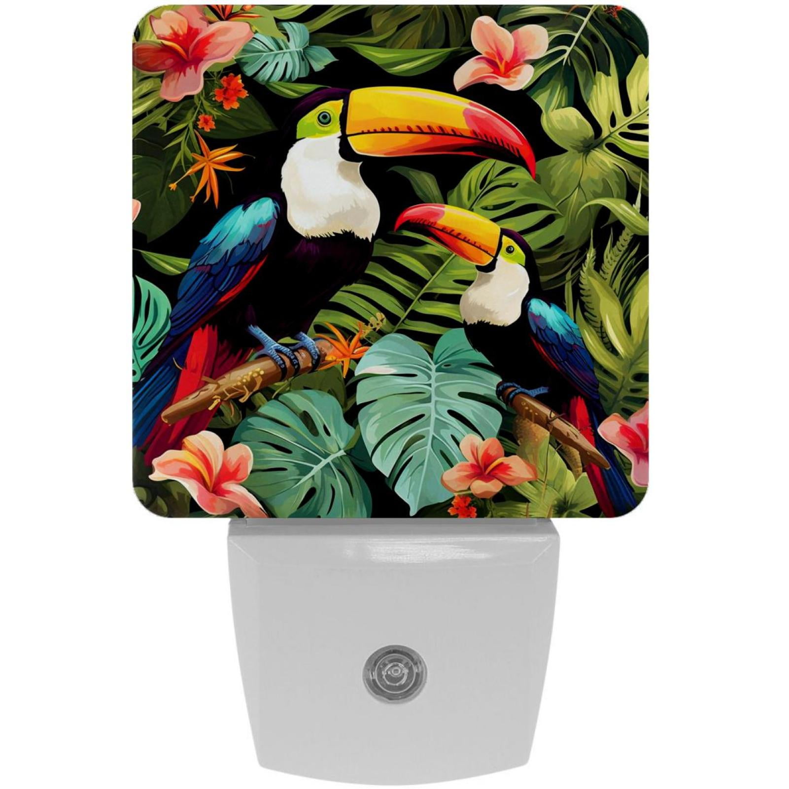 Toucan LED Square Night Lights - Energy Efficient and Sleek Design ...