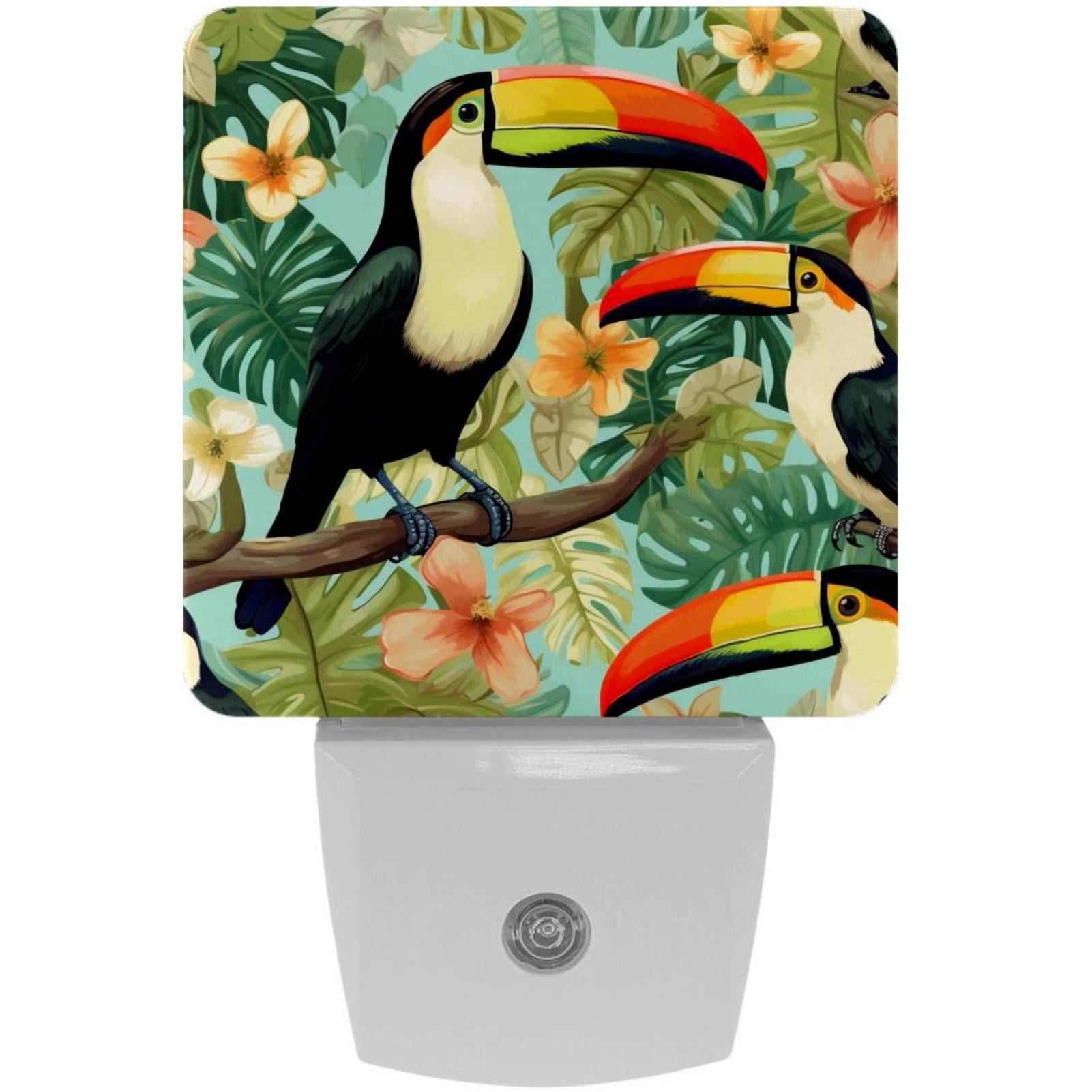 Toucan LED Square Night Lights - Energy Efficient and Stylish Bedroom ...