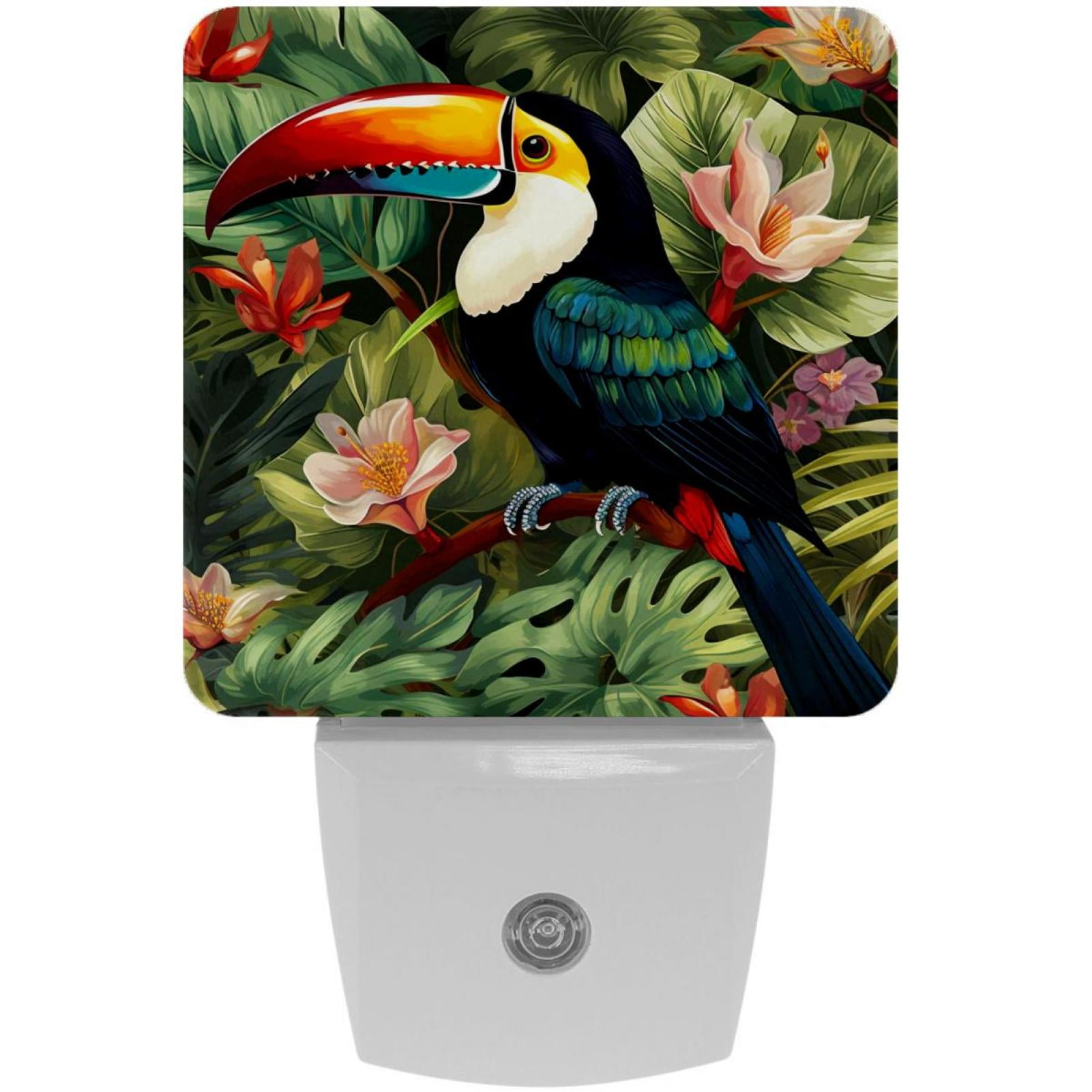 Toucan LED Square Night Lights- Energy Efficient and Stylish ...