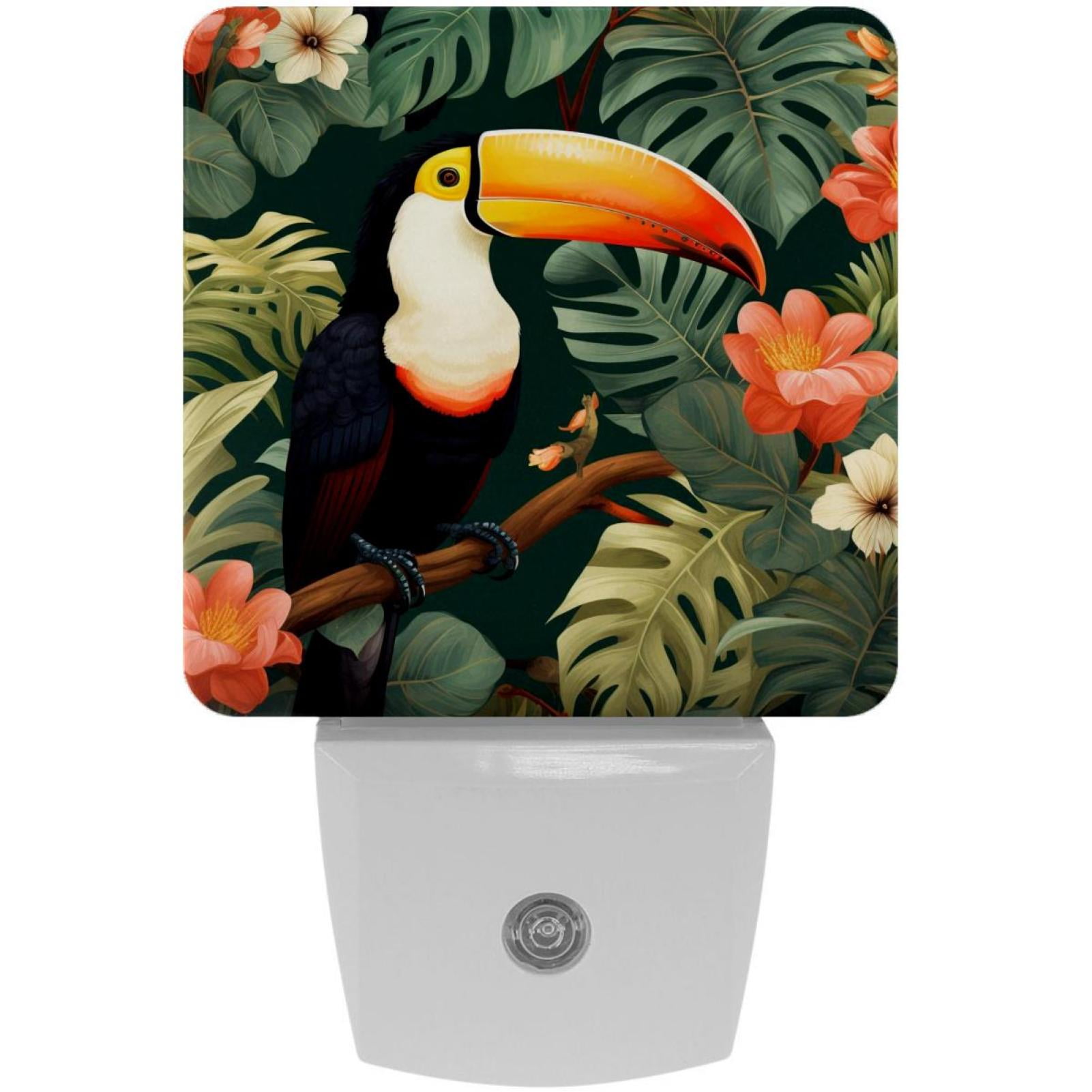 Toucan LED Square Night Lights- Energy Efficient and Stylish ...