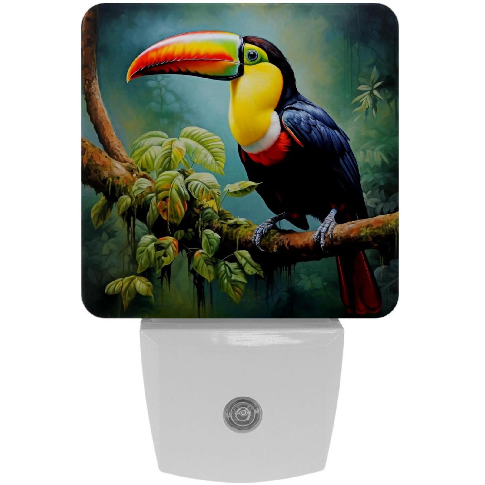 Toucan LED Square Night Lights - Modern Design, Energy Efficient Indoor ...