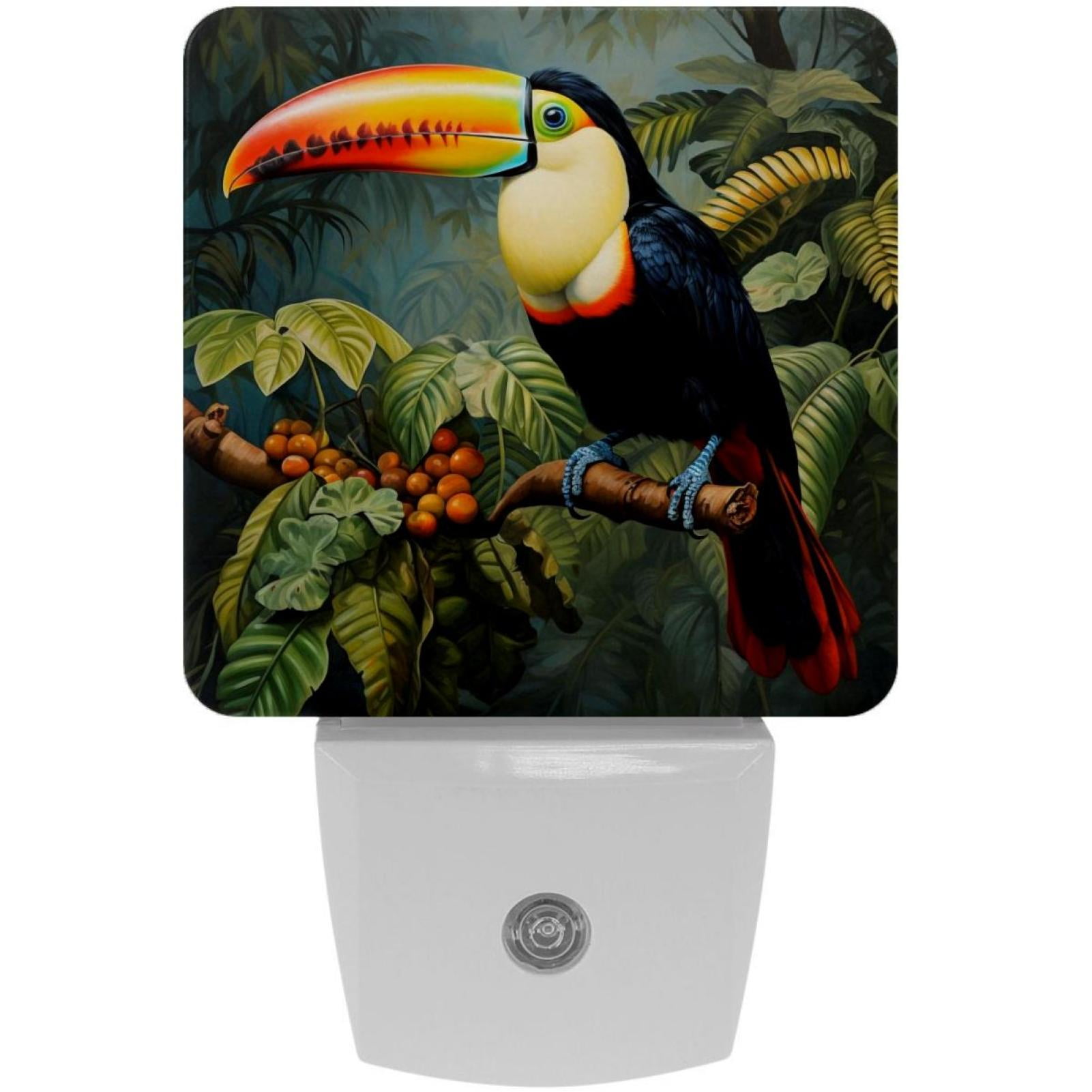 Toucan LED Square Night Lights - Modern Design, Energy Efficient Indoor ...