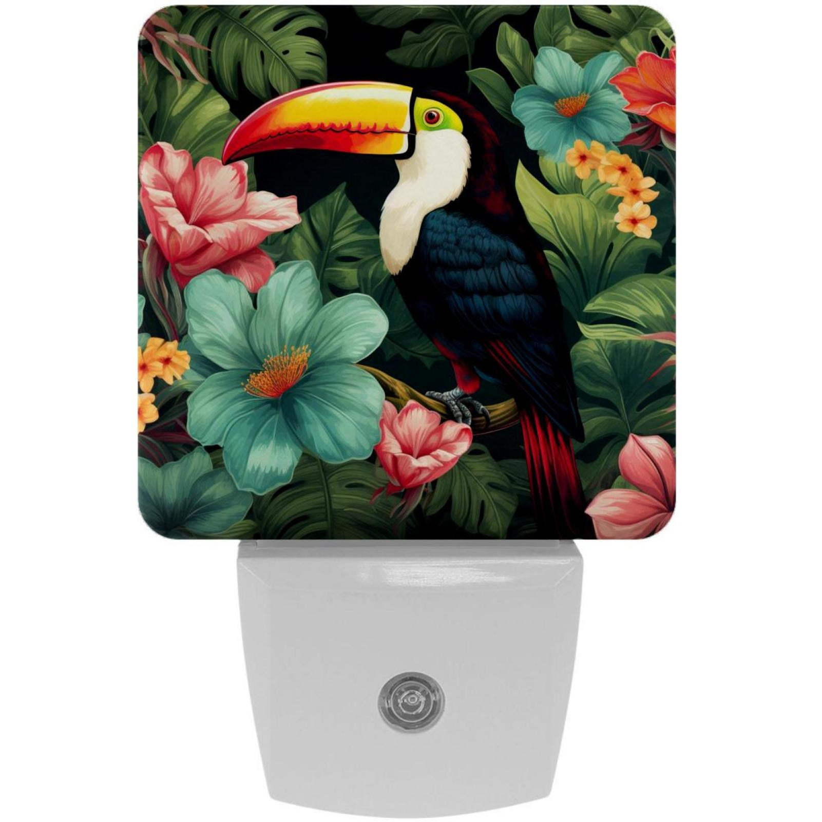 Toucan LED Square Night Lights - Modern and Energy Efficient Room ...
