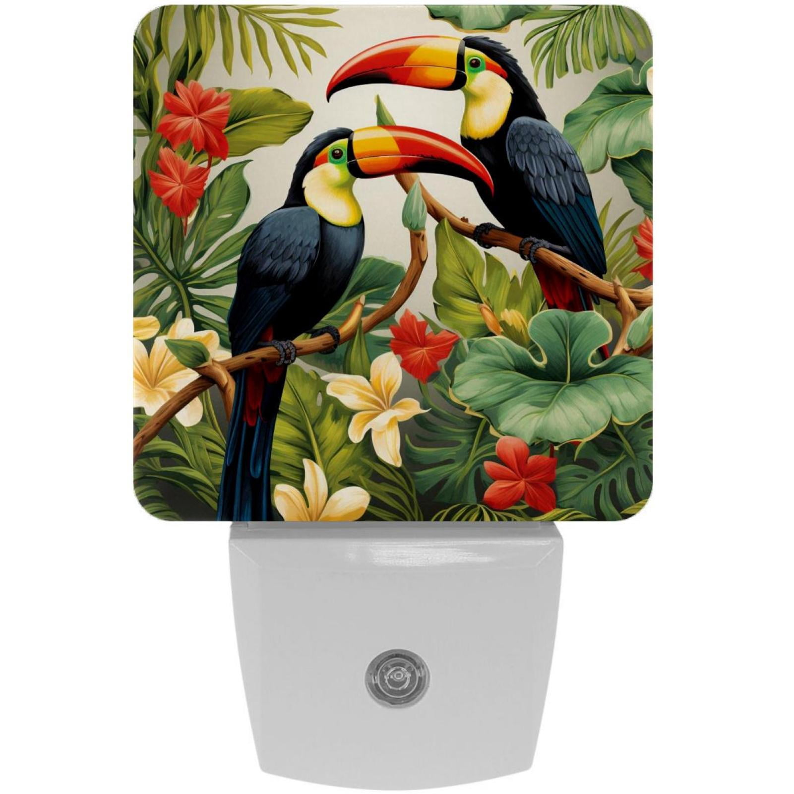 Toucan LED Square Night Lights- Modern and Energy Efficient Bedside ...