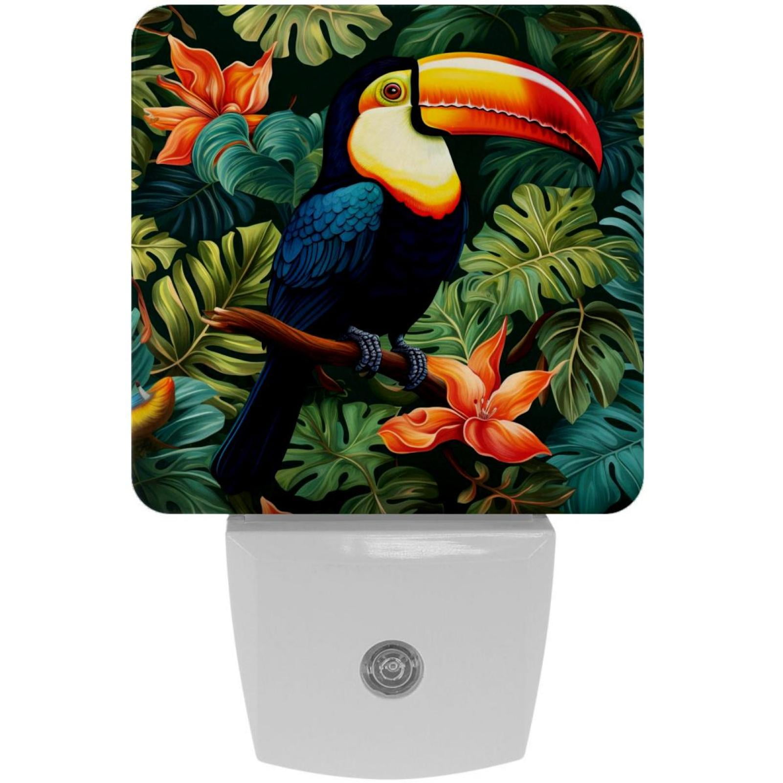 Toucan LED Square Night Lights - Small and Bright Illumination for Your ...