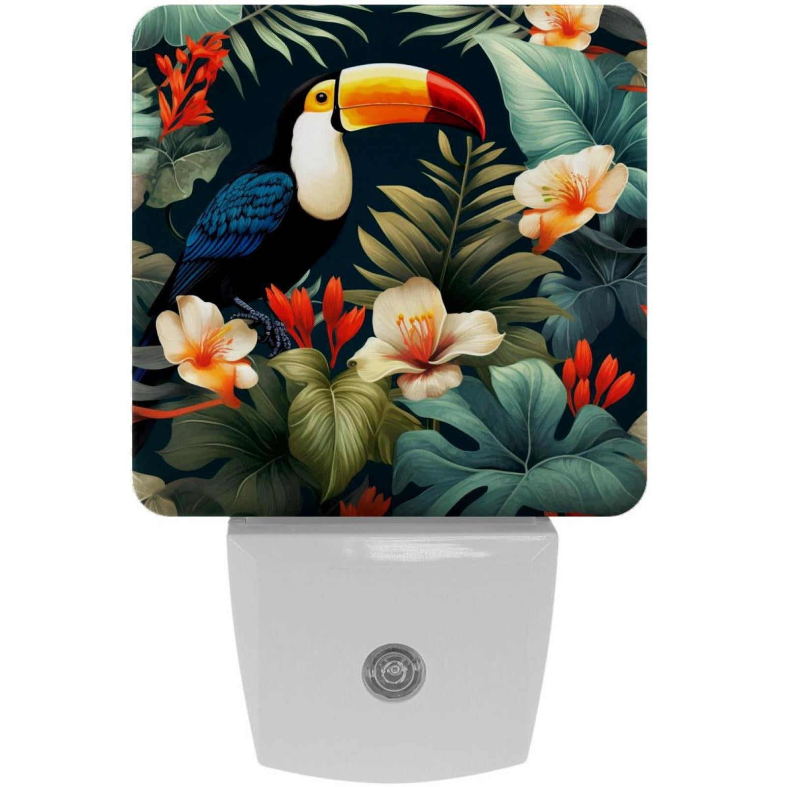 Toucan LED Square Night Lights - Small and Bright Illumination for Your ...