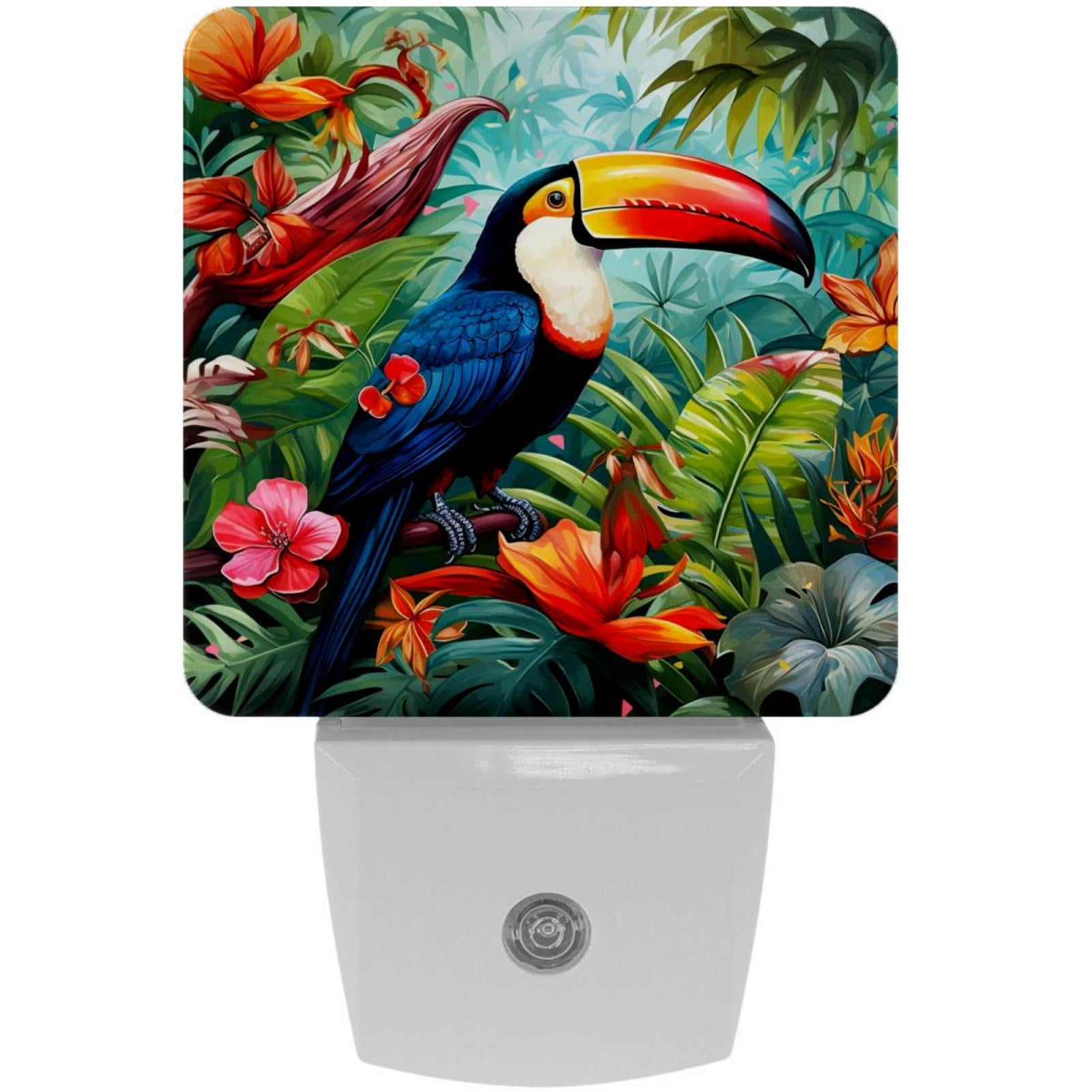 Toucan LED Square Night Lights - Small and Bright Illumination for Your ...