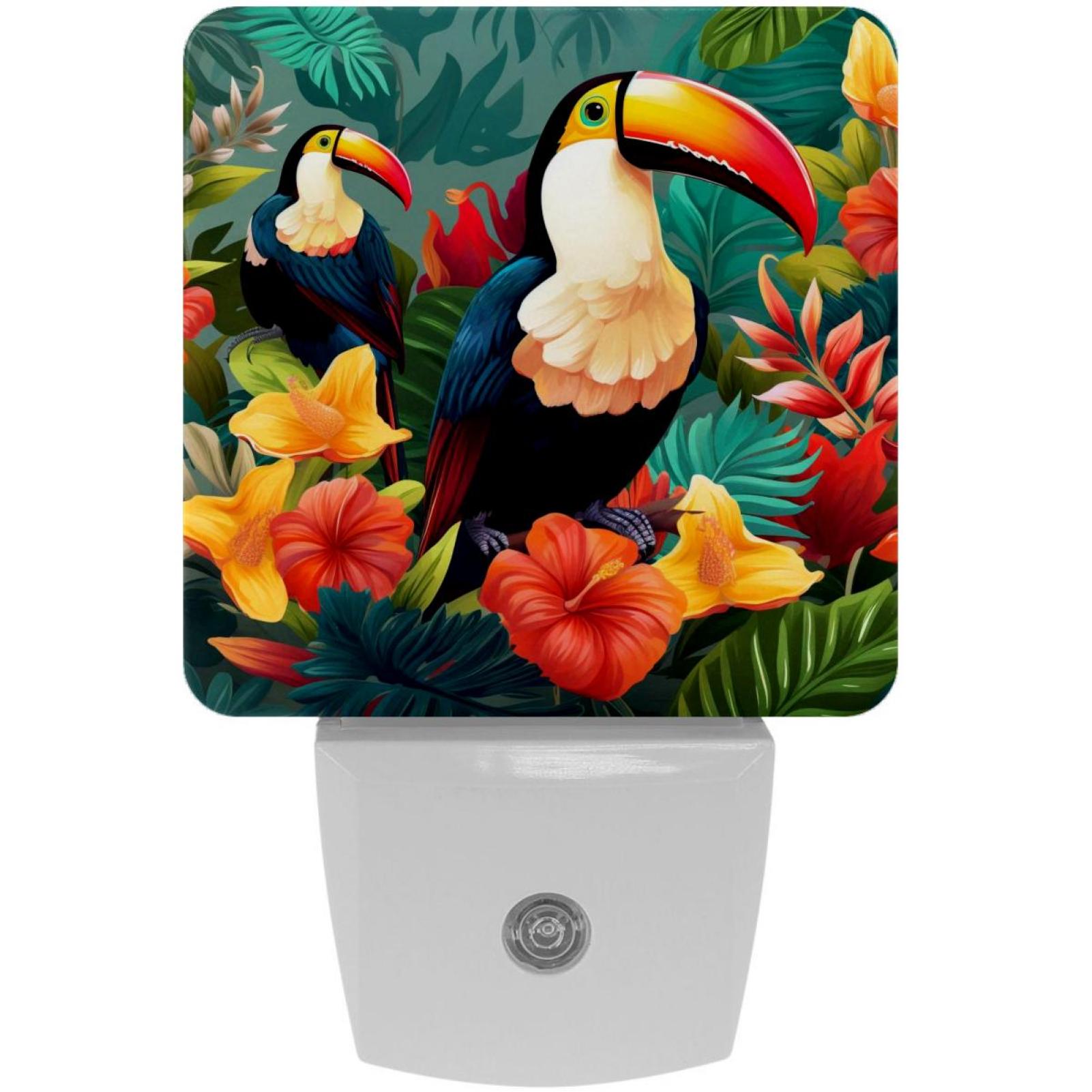 Toucan LED Square Night Lights - Stylish and Energy-Efficient ...