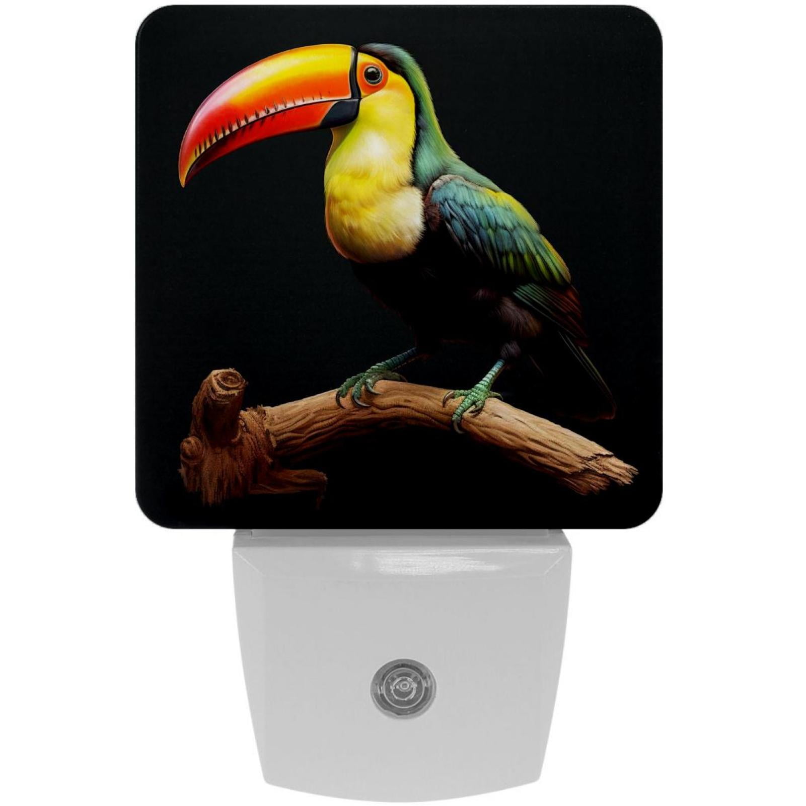 Toucan LED Square Night Lights - Stylish and Energy-Efficient Lighting ...