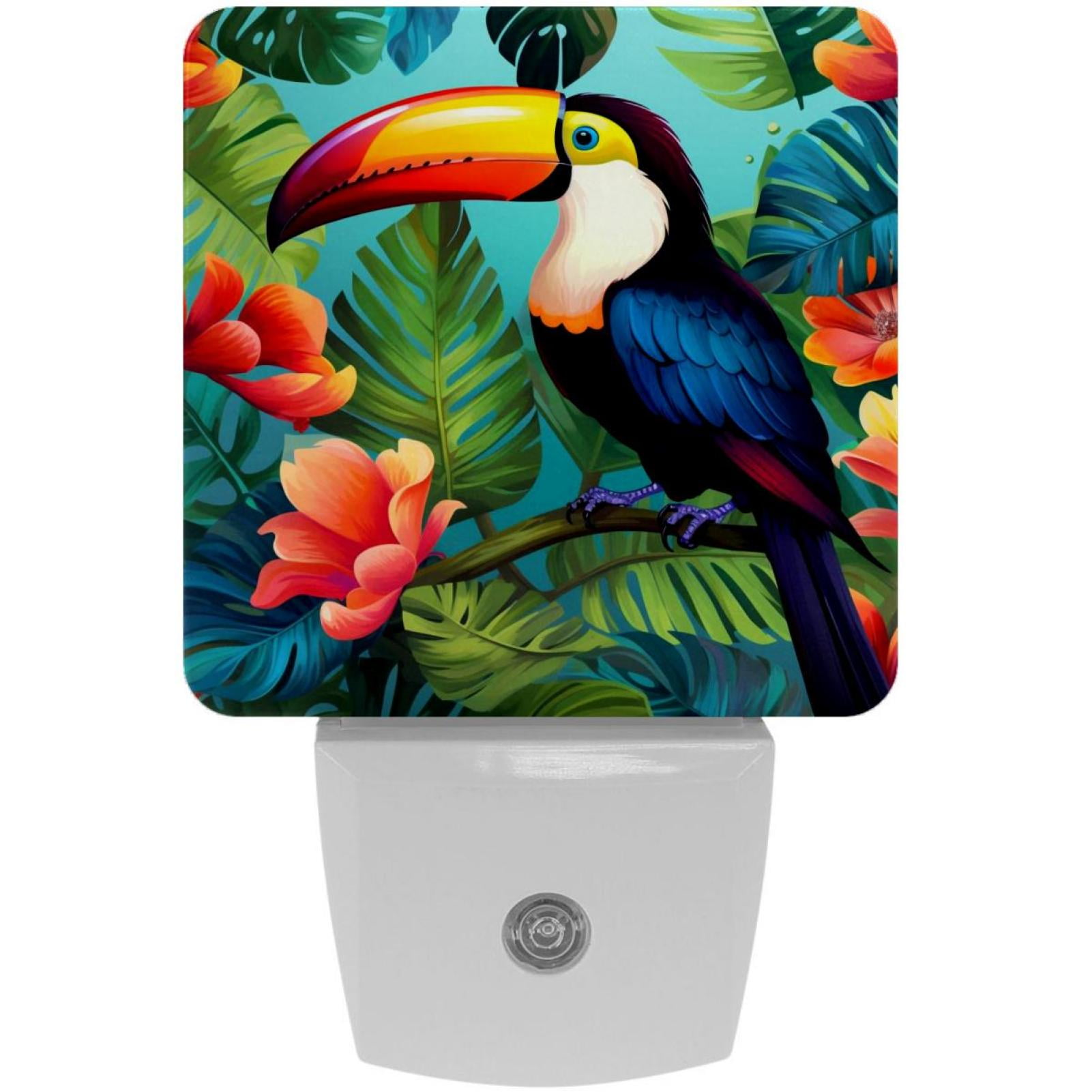 Toucan LED Square Night Lights - Stylish and Energy-Efficient Room ...