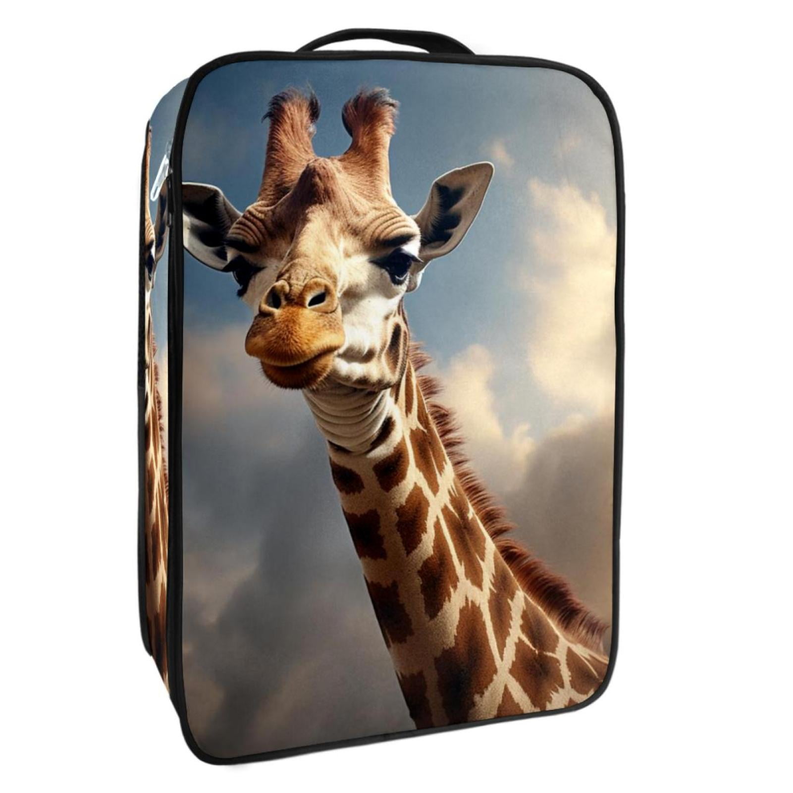 Toucan Polyester Shoe Boxes Organizer Container, 23x31cm/9x12in, Closet ...