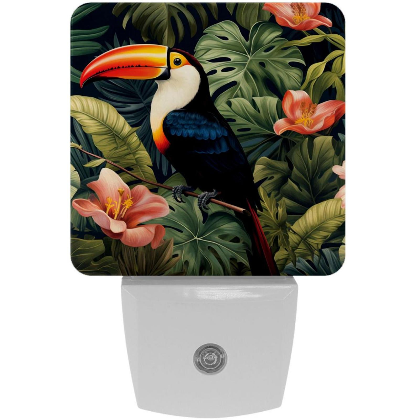 Toucan Square LED Night Lights - Small, Portable, and Energy-Efficient ...