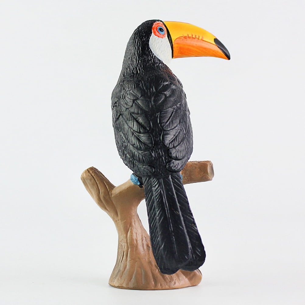 Toucan Birds