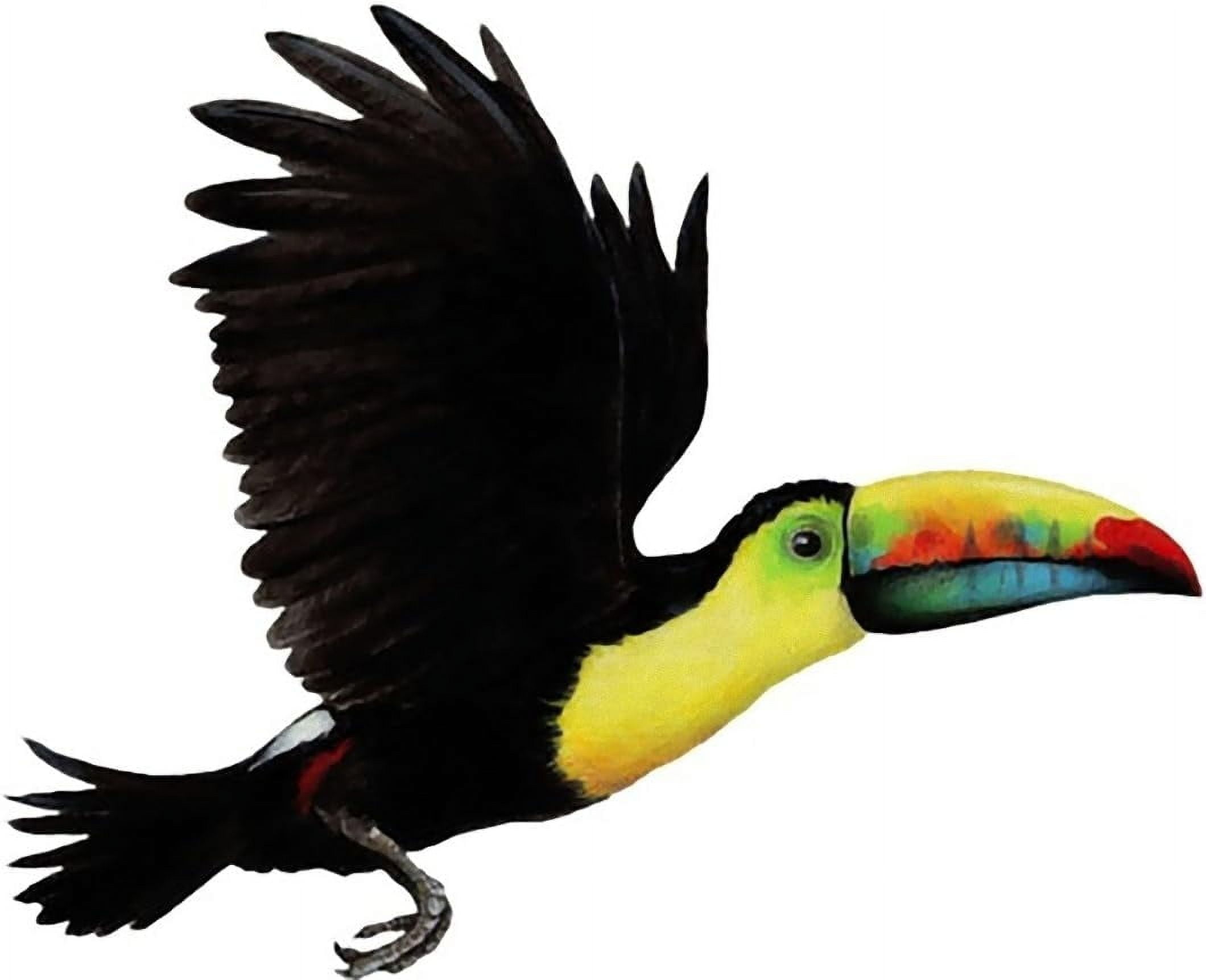 Toucan Wall Decal Tropical Wall Sticker (14 in. x 12 in.) - Walmart.com