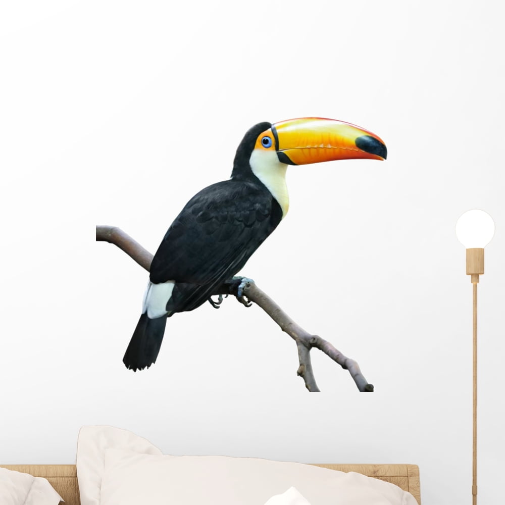 Toucan White Wall Decal by Wallmonkeys Peel and Stick Graphic (18 in W ...