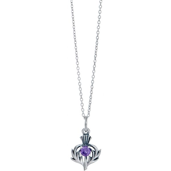 Toucan of Scotland Sterling Silver Amethyst Purple Colour Stone Thistle ...