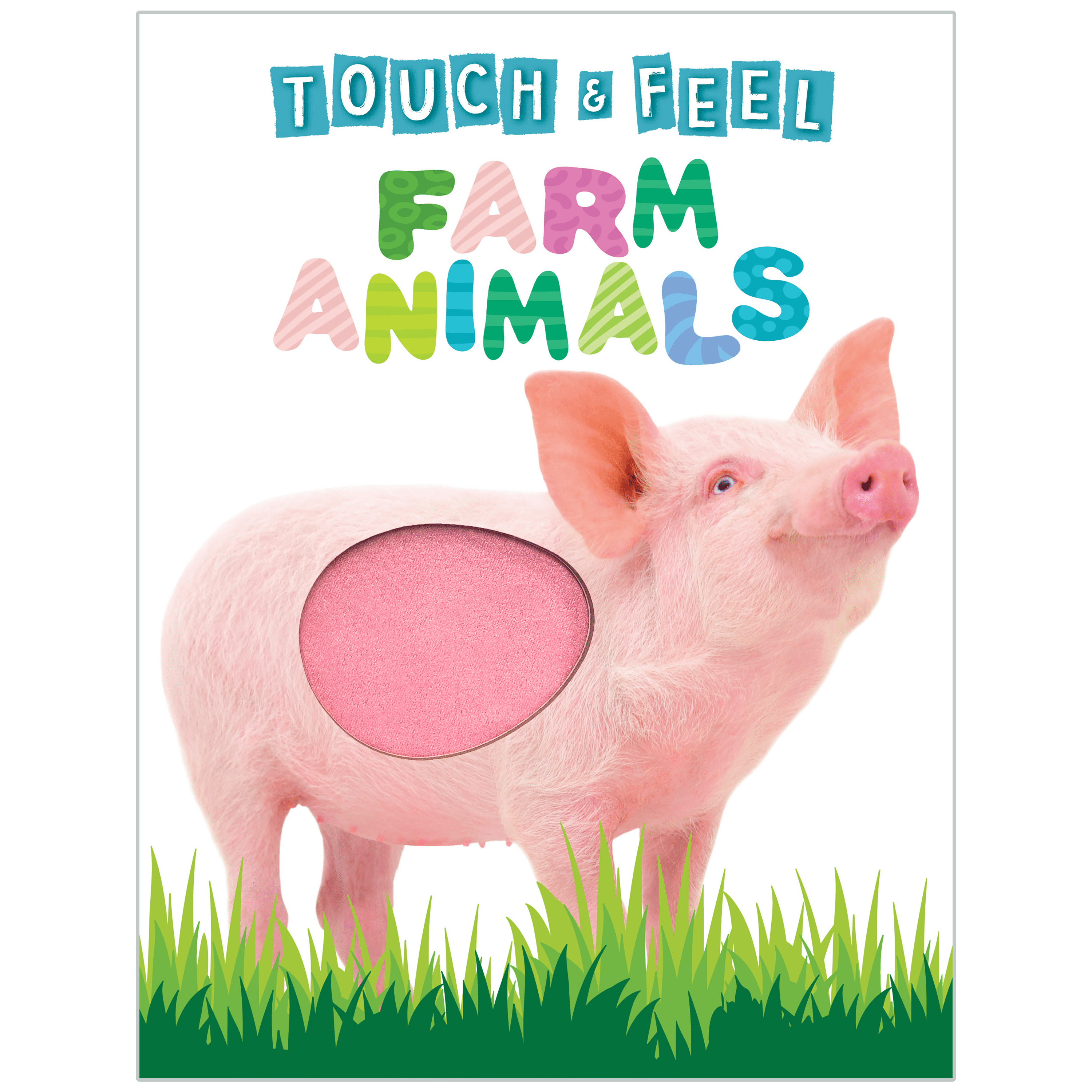 Touch and Feel Farm Animals - Novelty Book - Interactive Fun Child's ...