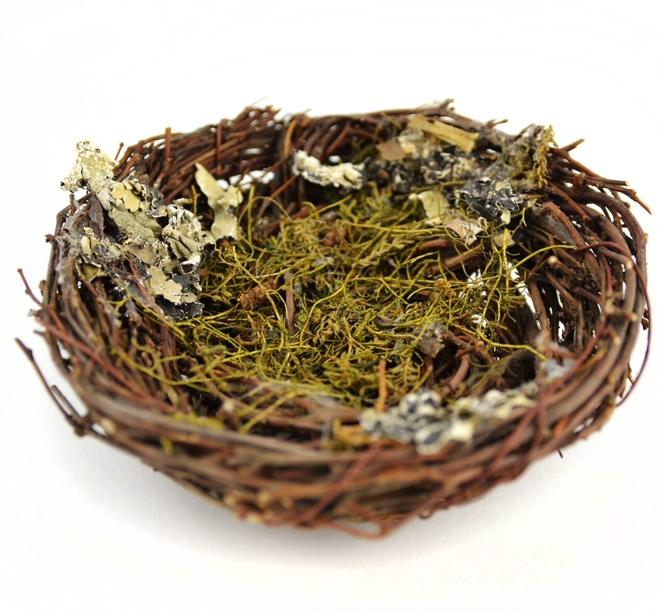 Touch of Nature 1-Piece Artificial Bird Nest with Moss for Arts and ...