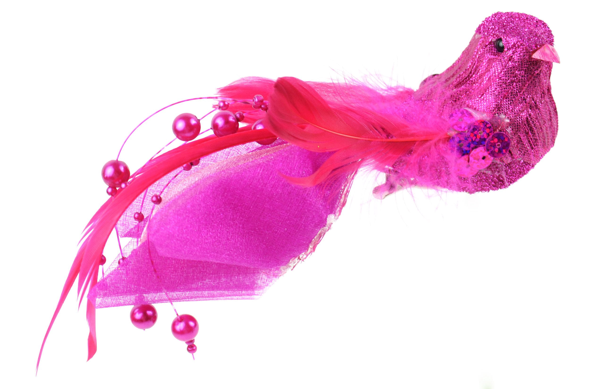 Touch of Nature 1-Piece Fancy Glitter Bird Assortment with Ribbon and ...