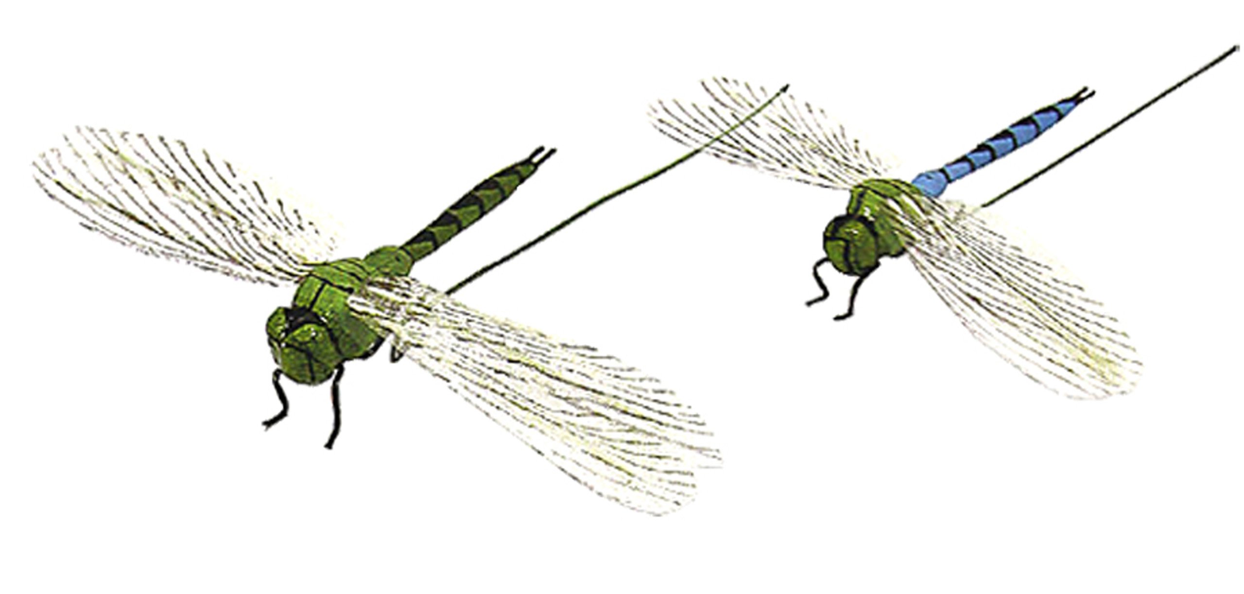 Touch of Nature 23304 Plastic Dragonfly, 4-Inch - Walmart.com