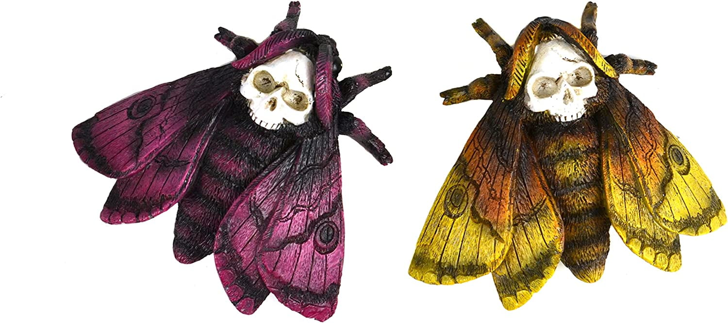 Exotic Moths