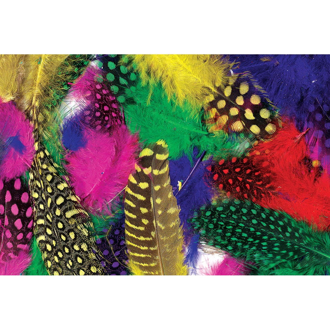 Touch of Nature Bright Guinea Feathers - Walmart.com