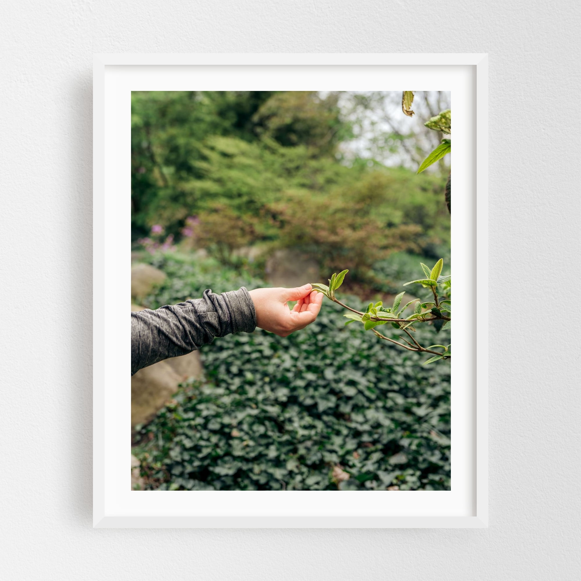Touch of Nature - Brooklyn New York Photography Garden Nature Botanical ...