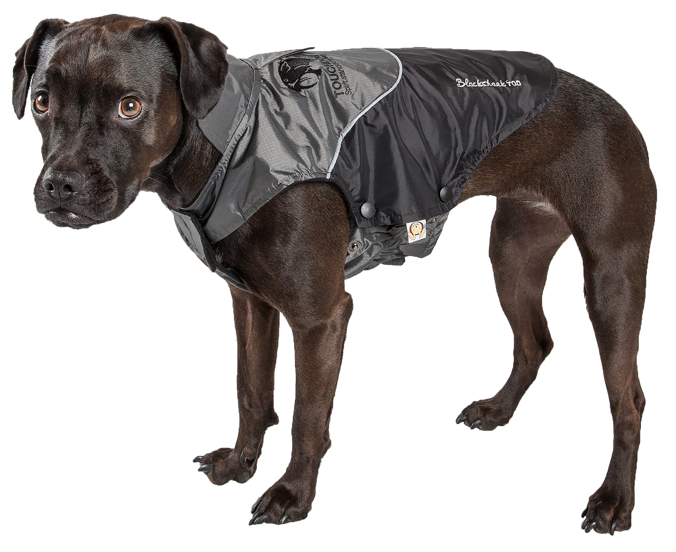 Touchdog Subzero-Storm Waterproof 3M Reflective Dog Coat w/ Blackshark ...