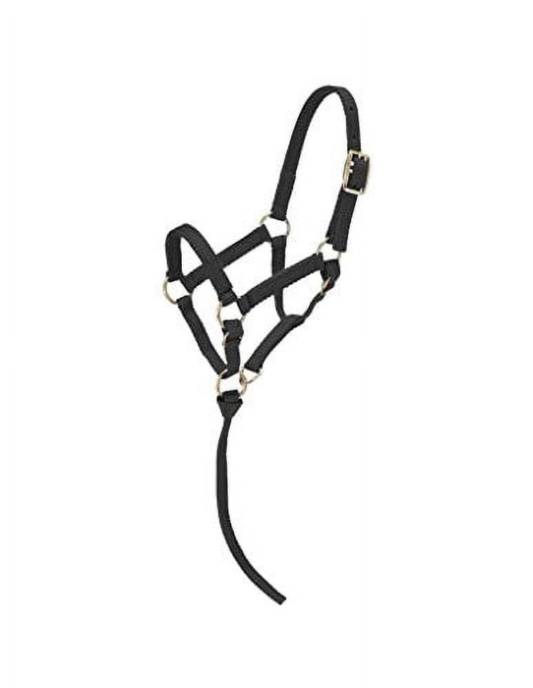 Tough 1 Miniature Nylon Halter, Black, Large Mini - Walmart.com