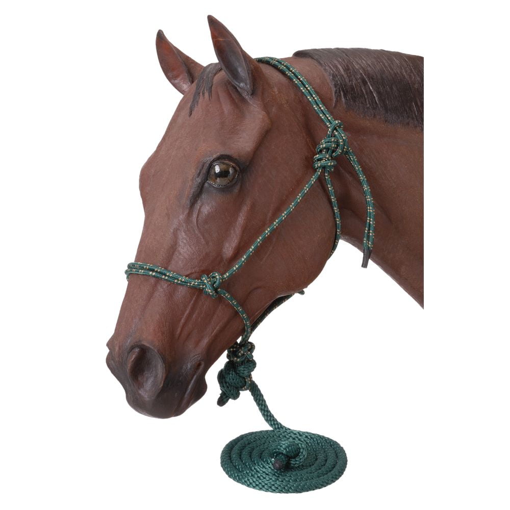 Tough-1 Miniature Poly Rope Halter w/Lead - Walmart.com