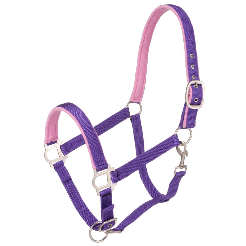 Tough 1 Nylon Padded Halter with Satin Hardware, Purple, Yearling ...