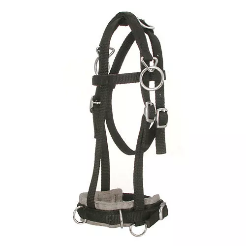 Tough1 Miniature Horse Nylon Training Caveson - Walmart.com