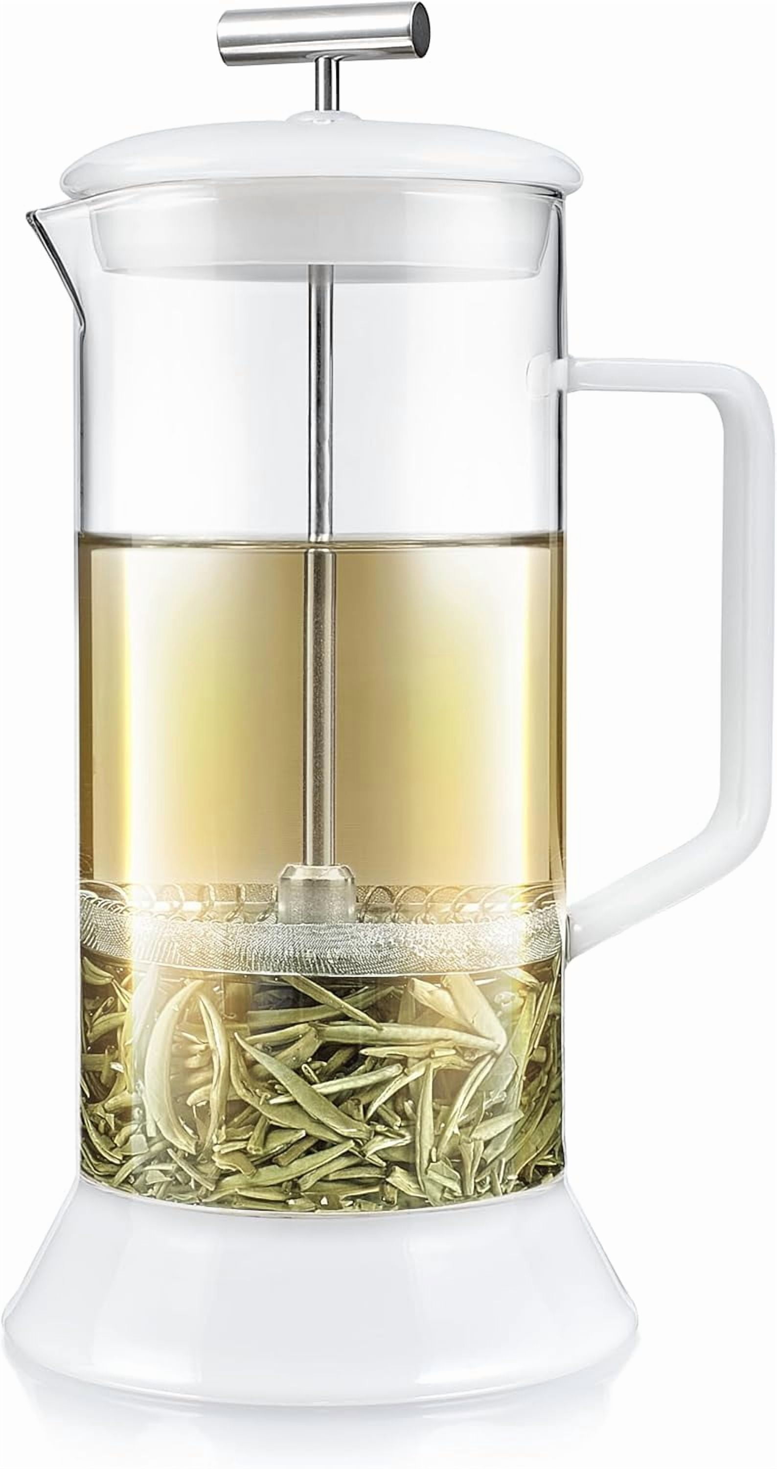 Toulouse Borosilicate Glass Tea Press and Coffee Maker with No Plastic ...