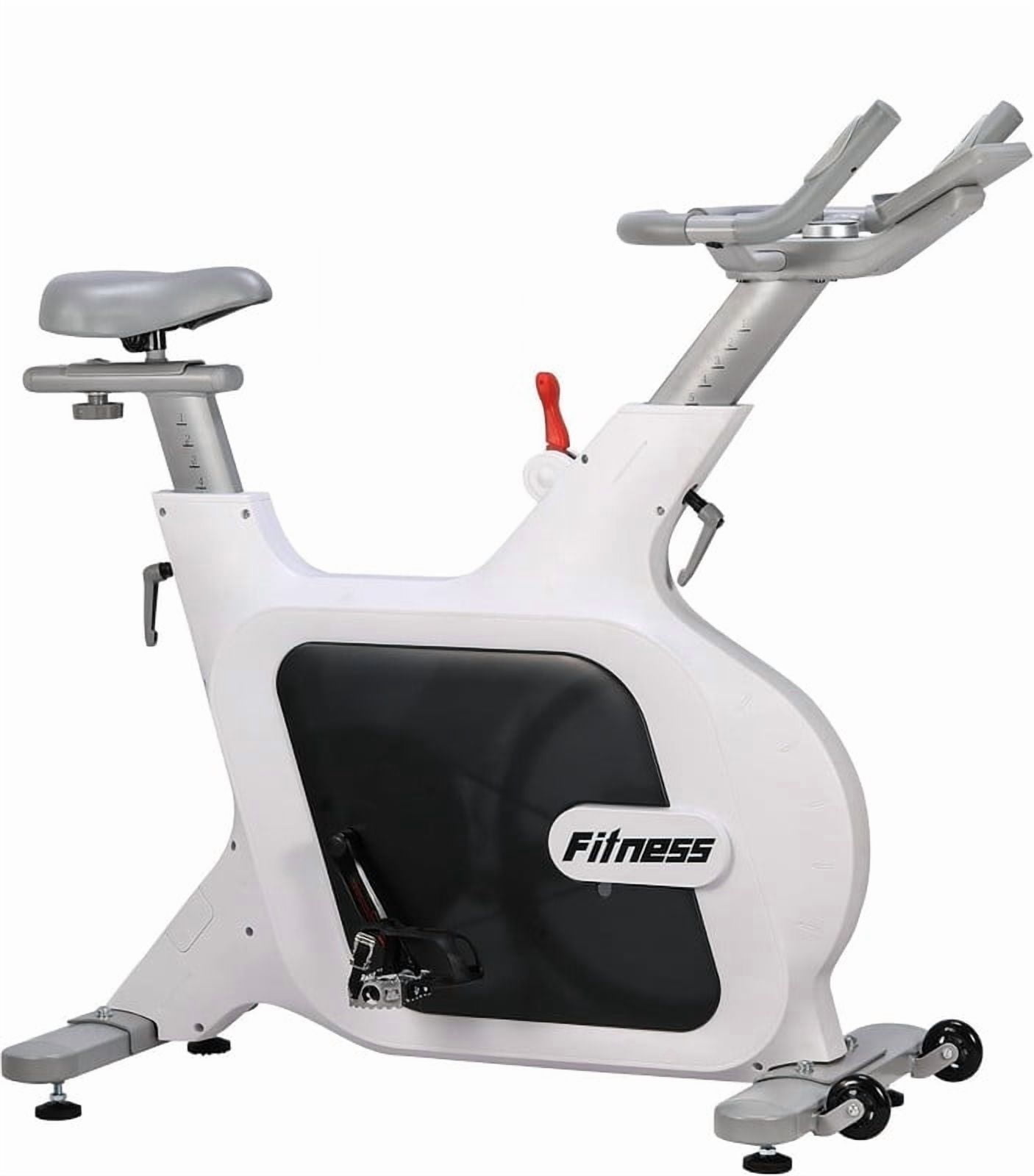 Towallmark Magnetic Exercise Bike, 300 Lbs Capacity Indoor Cycling Bike ...