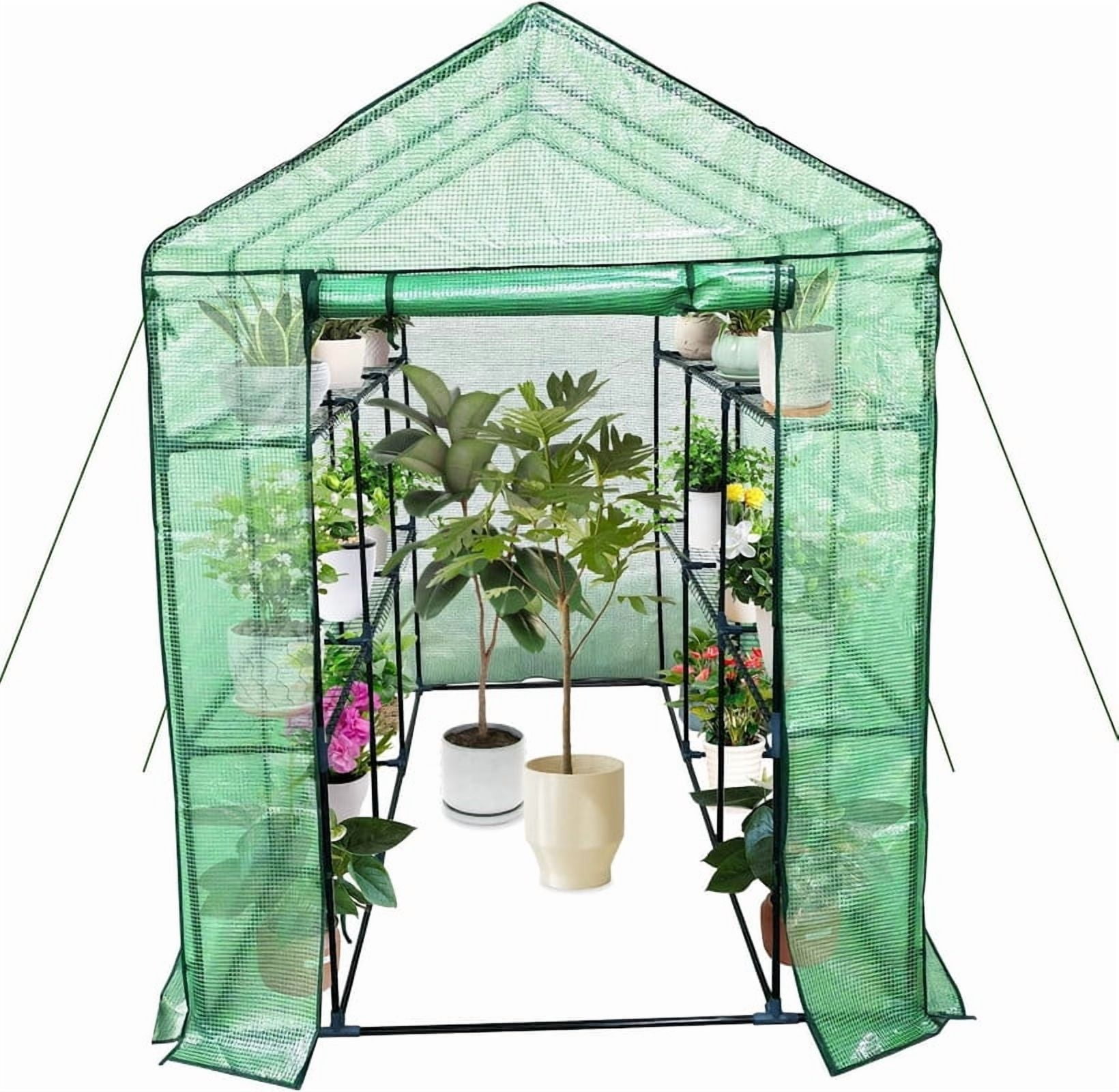 Towallmark Portable Greenhouse, 56"x83"x75" Walk-in Small Greenhouse ...