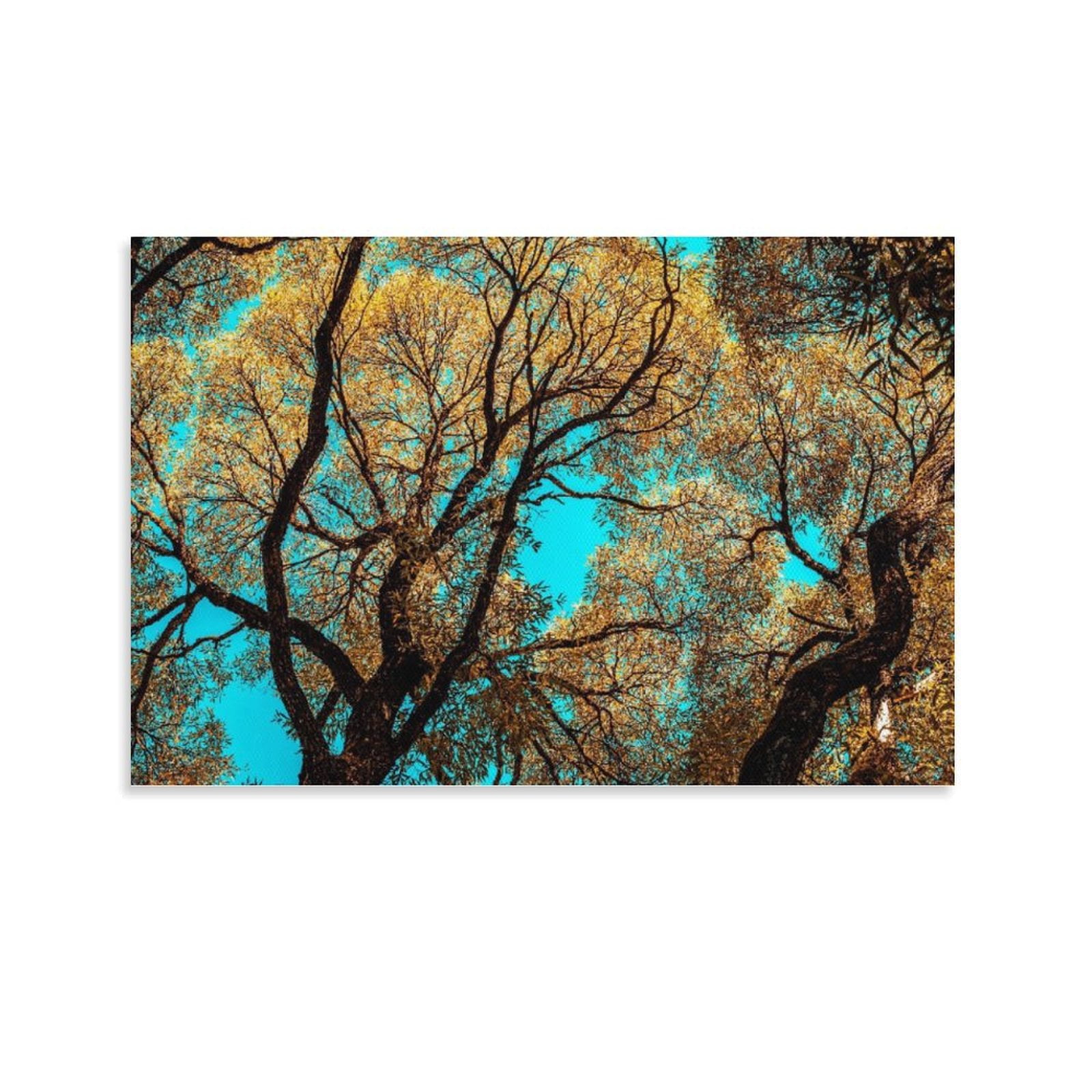 Towering Trees Against A Clear Blue Sky Canvas Art Poster And Wall Art ...