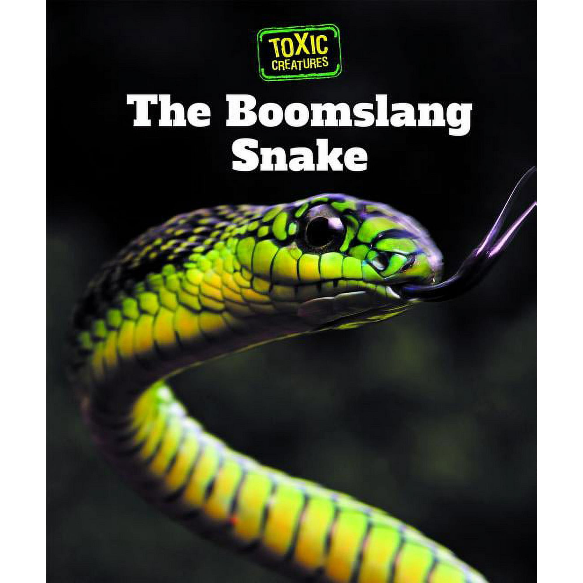 Boomslang Snake Bite