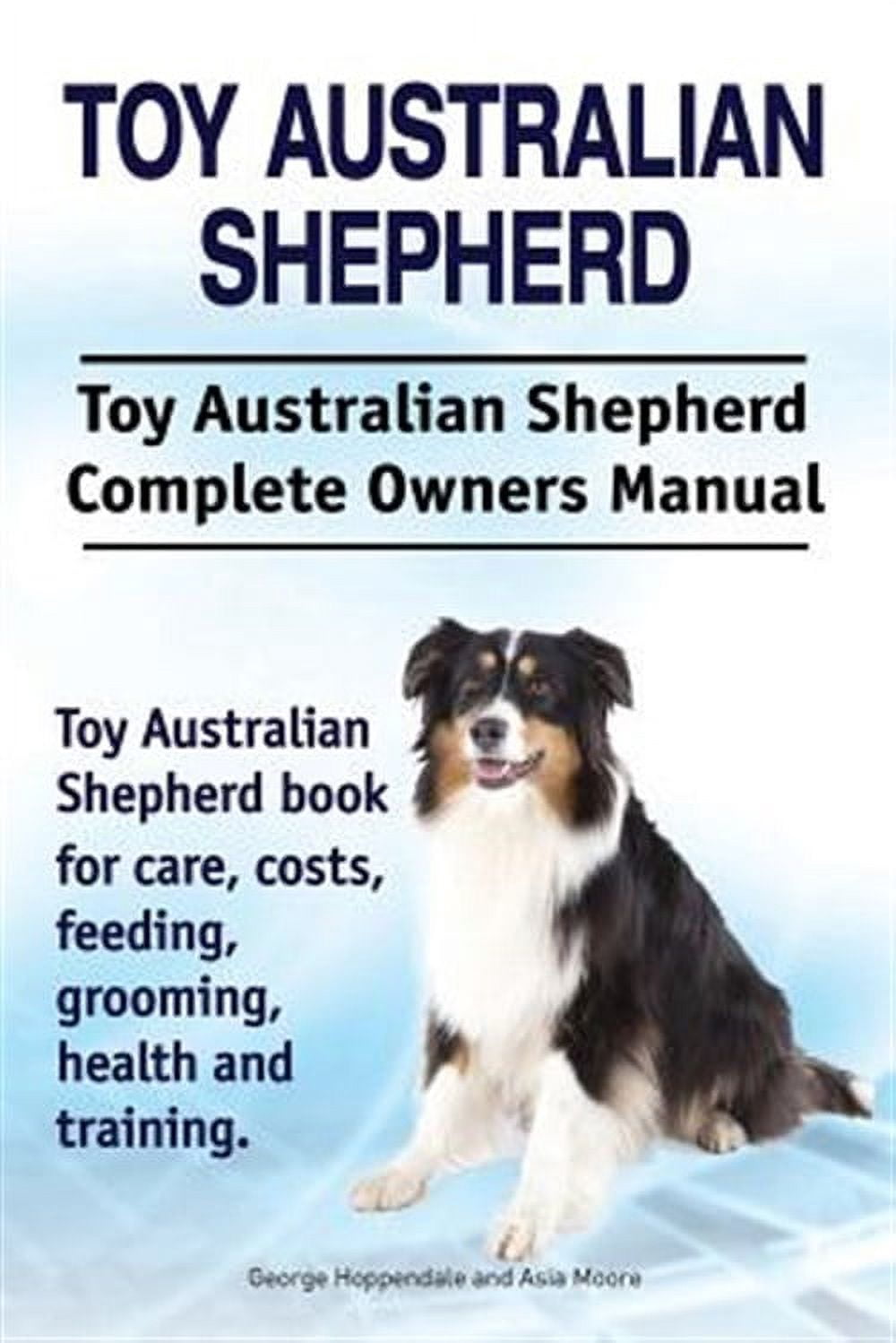 Toy Australian Shepherd. Toy Australian Shepherd Dog Complete Owners ...