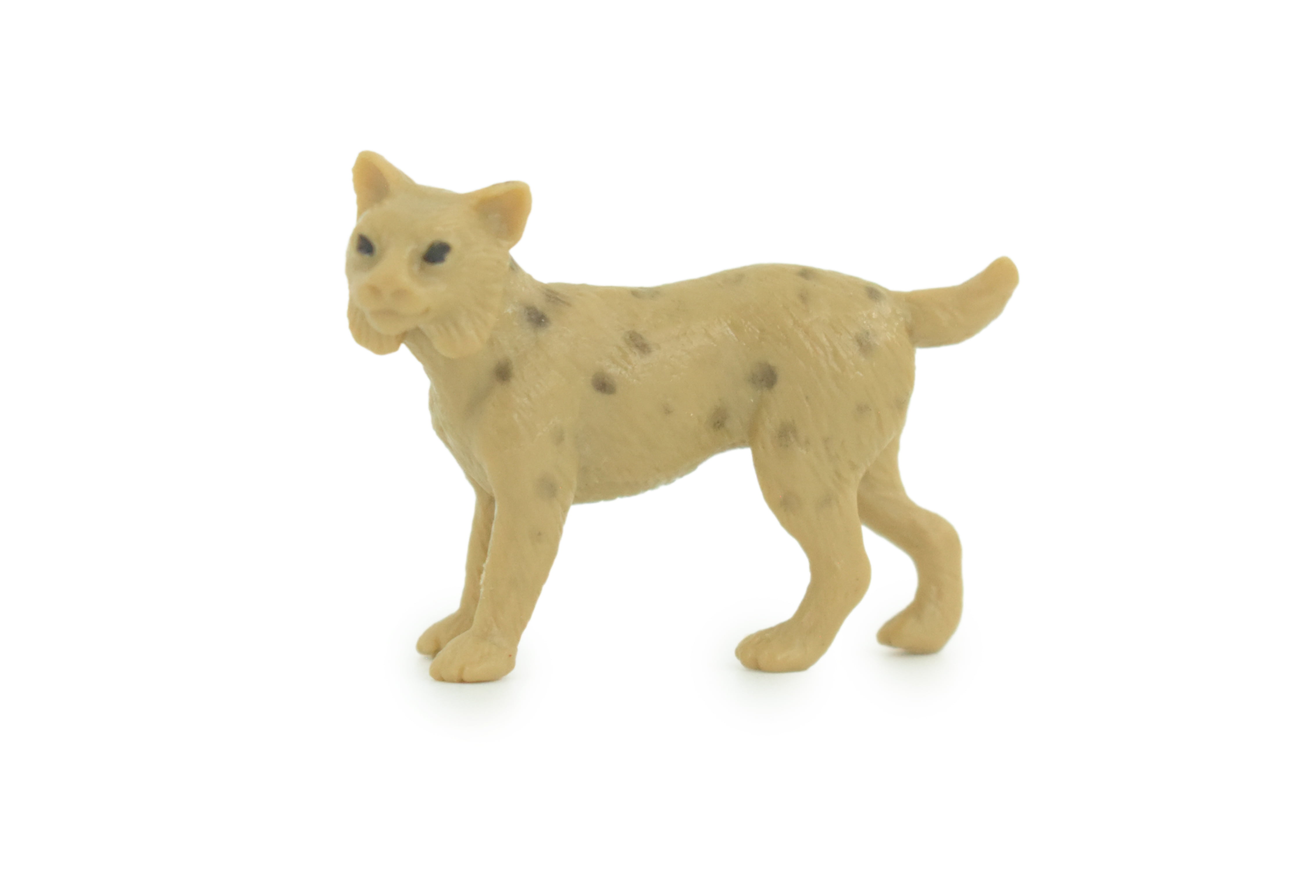 Toy Bobcat, Cub, Nice Rubber Animal, Educational, Realistic Cat, Hand ...
