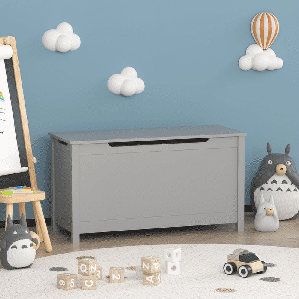 Toy Box Storage, Wooden Kids Toy Chest Organizer with Hinged Lid for ...
