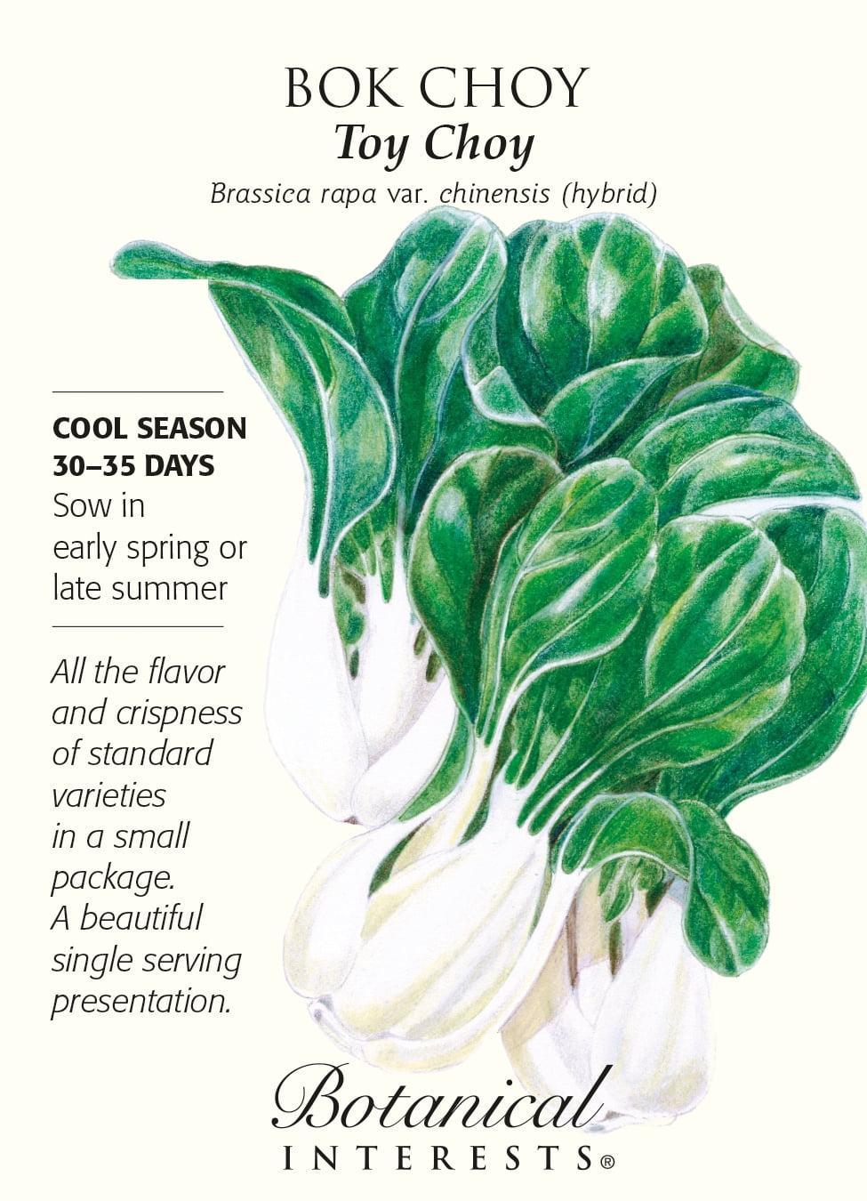 Toy Choy Bok Choy Seeds - 150 mg - Walmart.com