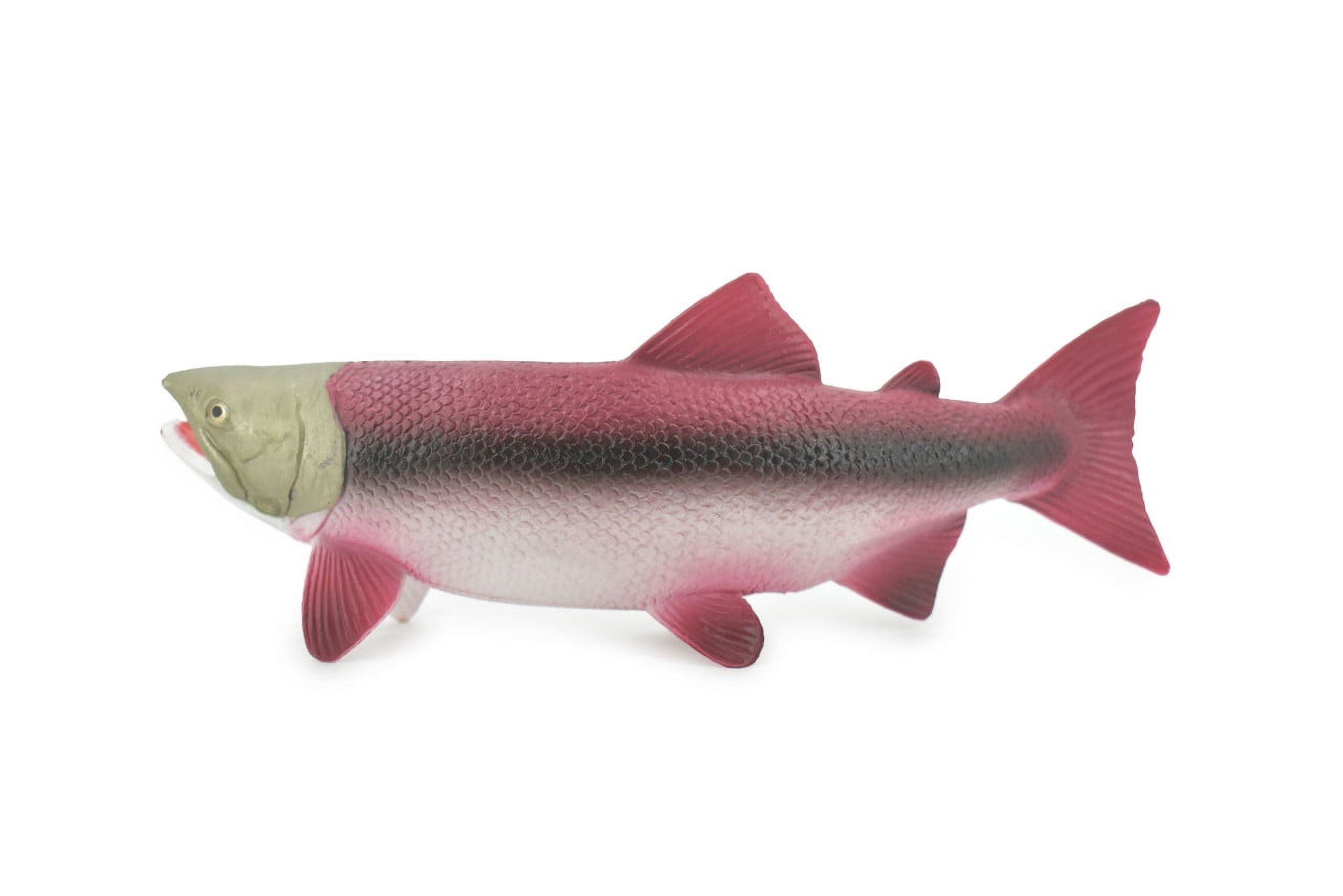 Toy Coho Salmon Model, Spawning Silver, Museum Quality, Hand Painted ...