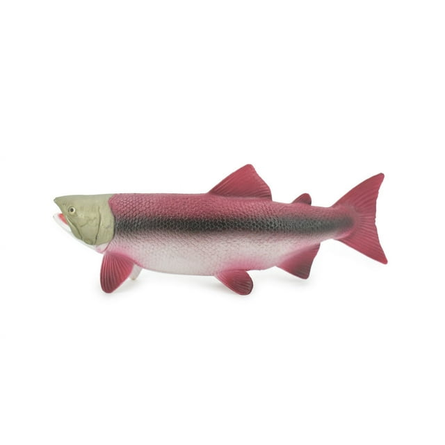 Toy Coho Salmon Model, Spawning Silver, Museum Quality, Hand Painted ...