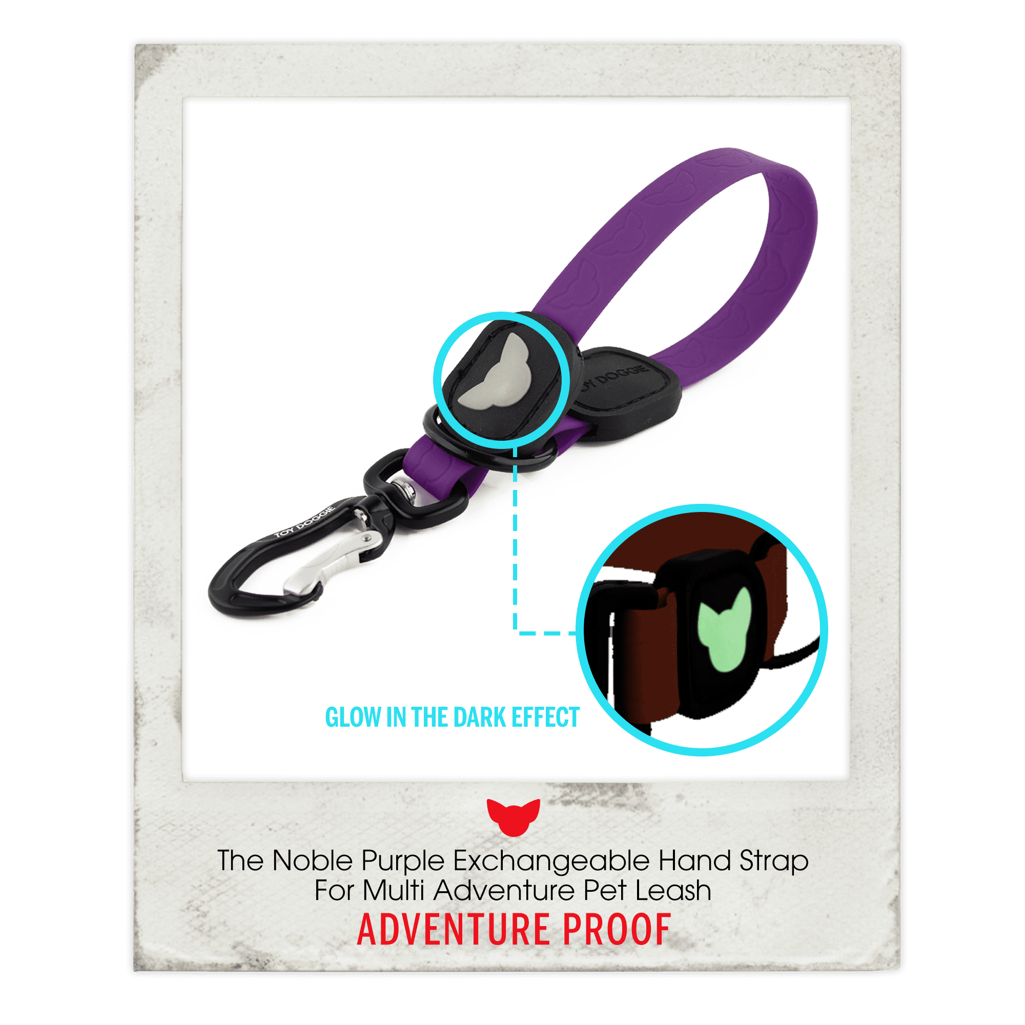 2 in 1 Tab Leash Purple with Glow-in-the-Dark feature for Small to Big ...