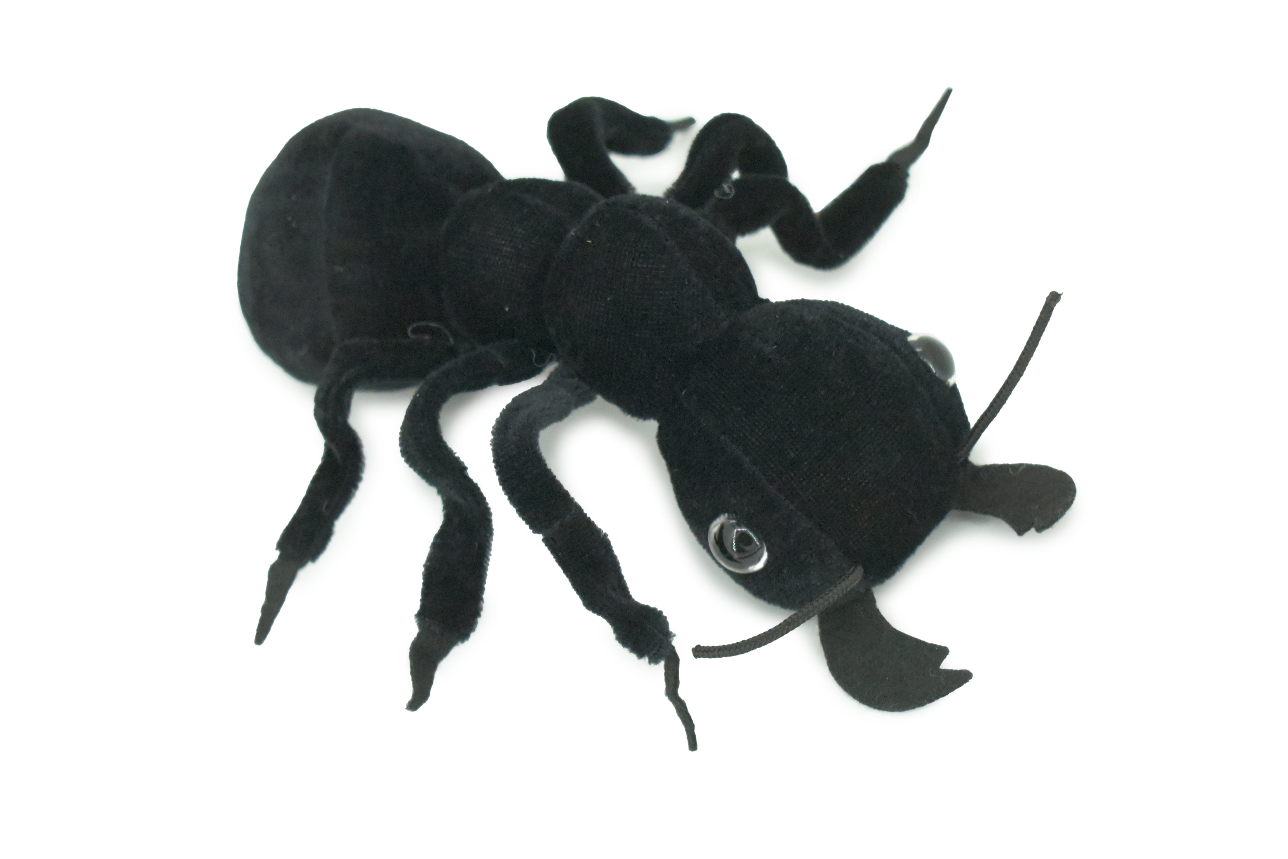 Toy Plushy Black Ant, Stuffed Animal Bug, Insect, Plush Design ...