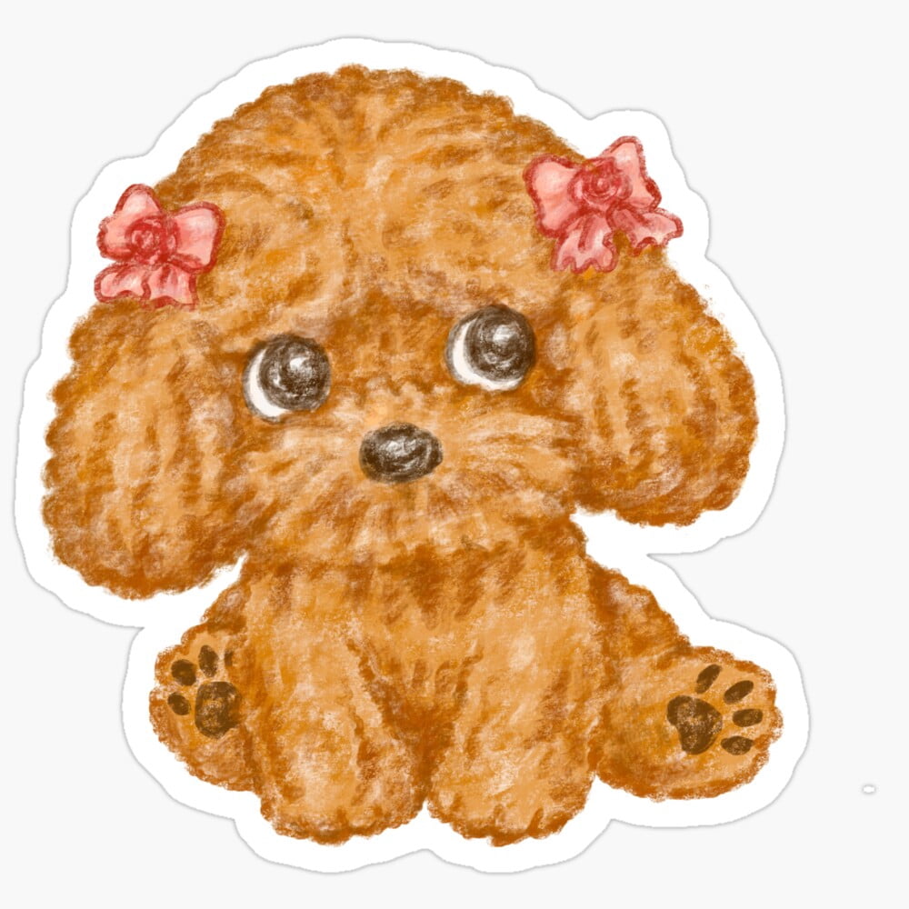 Toy Poodle Wearing A Ribbon Looks Up Sticker Phone Decal Water Bottle ...