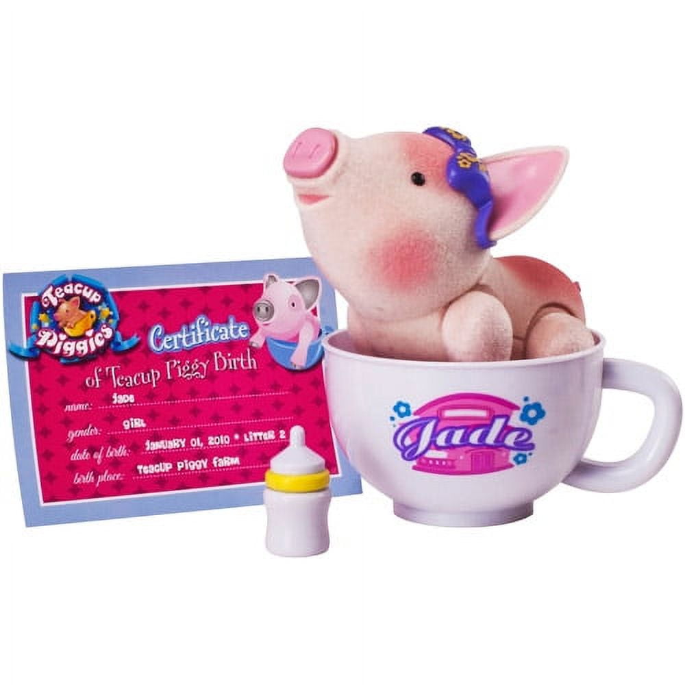 Teacup Pigs Toy